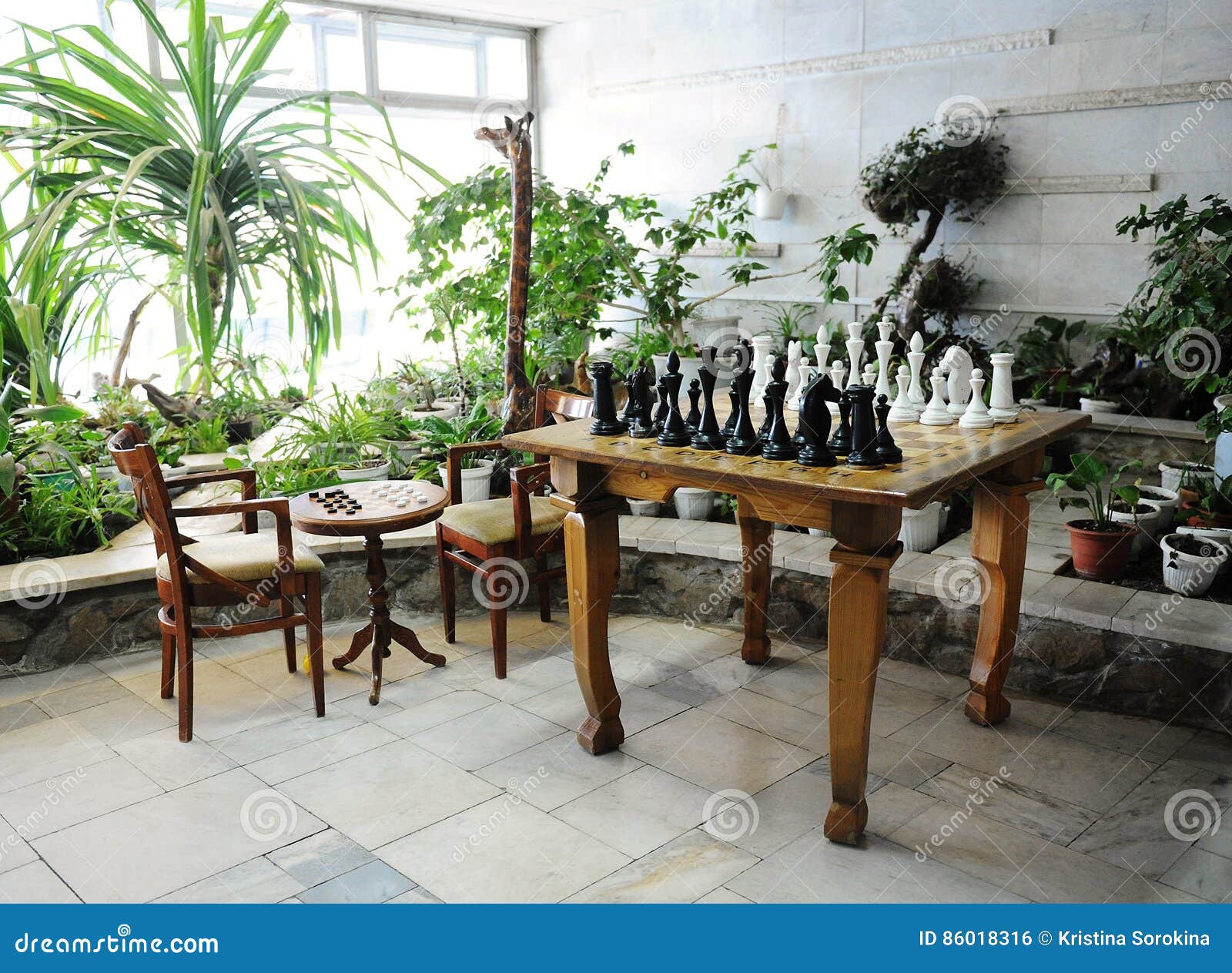 Chess Table With Large Chess Pieces On The Background Of Greenhouse ...