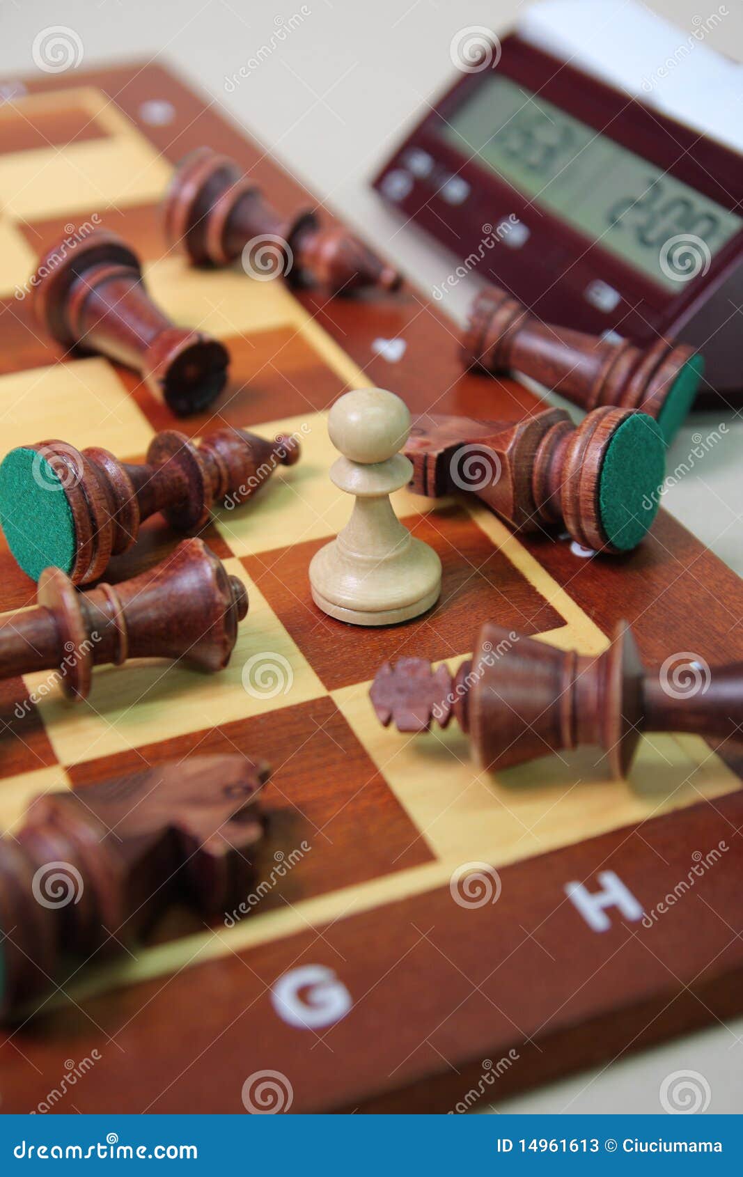 Chess vip stock image. Image of champion, pawn, tactics - 14961613
