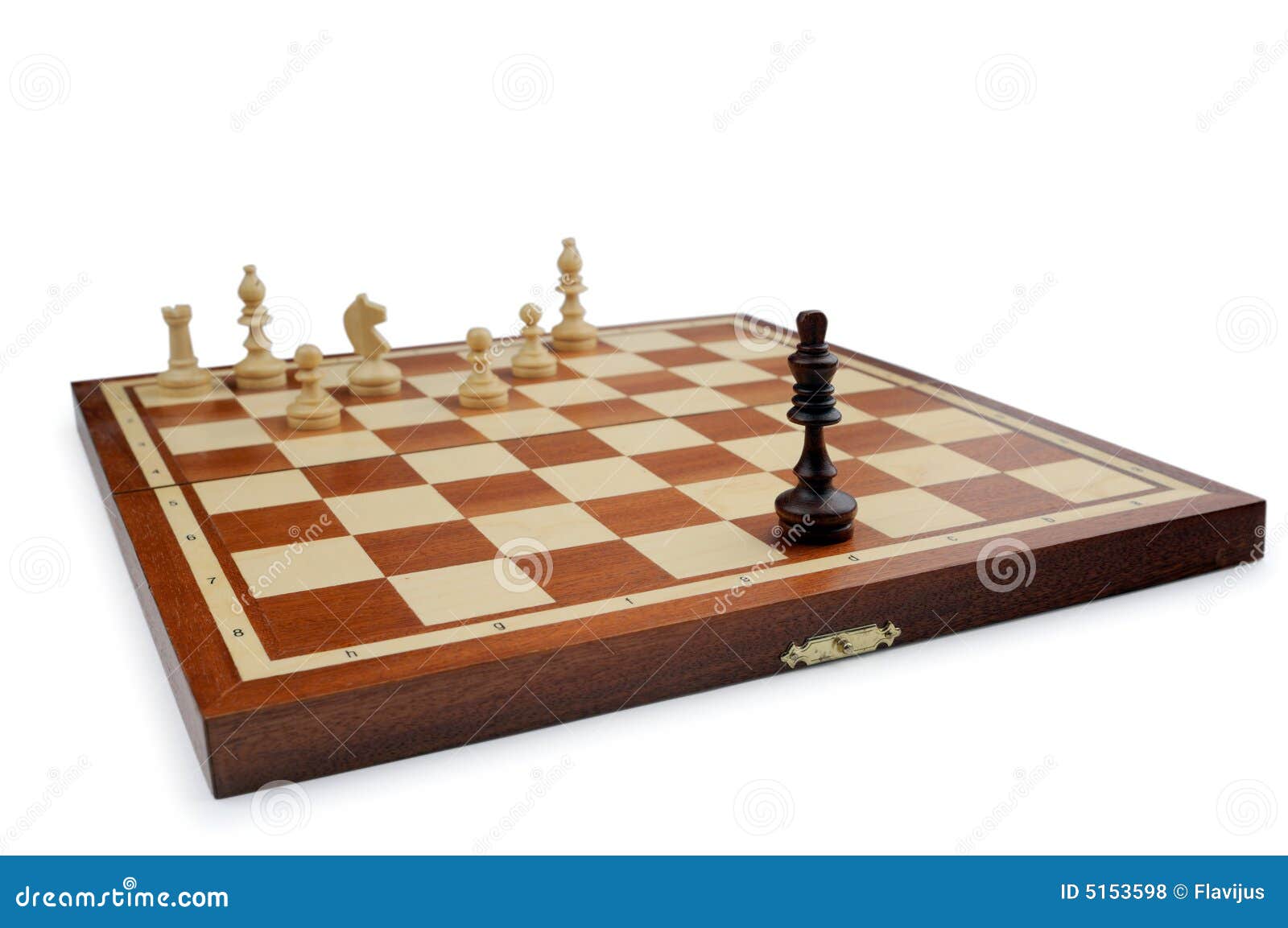 Chess on a White Background Stock Photo - Image of pawn, queen: 5153598