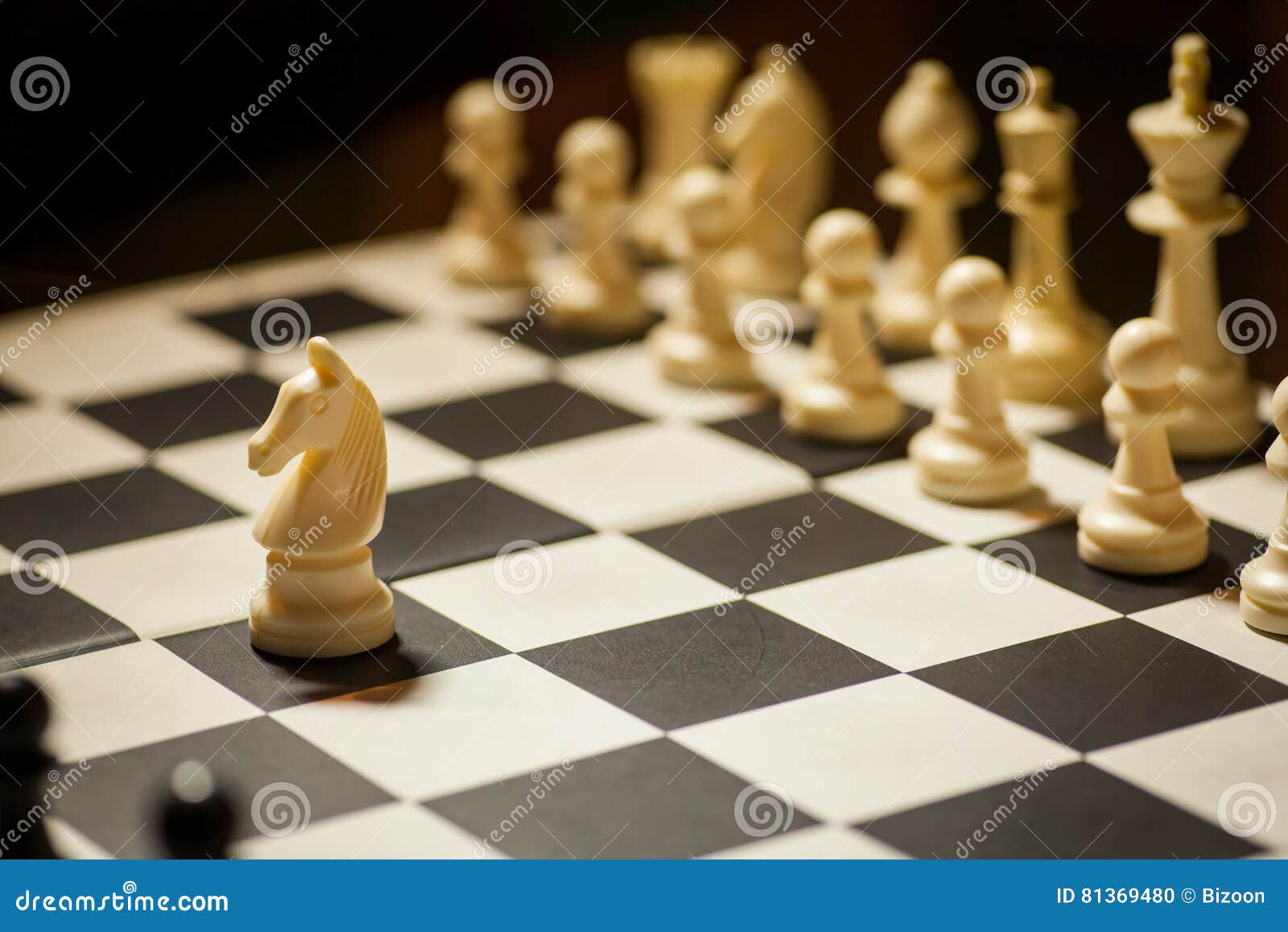Chess white horse moving stock photo. Image of figurines - 81369480