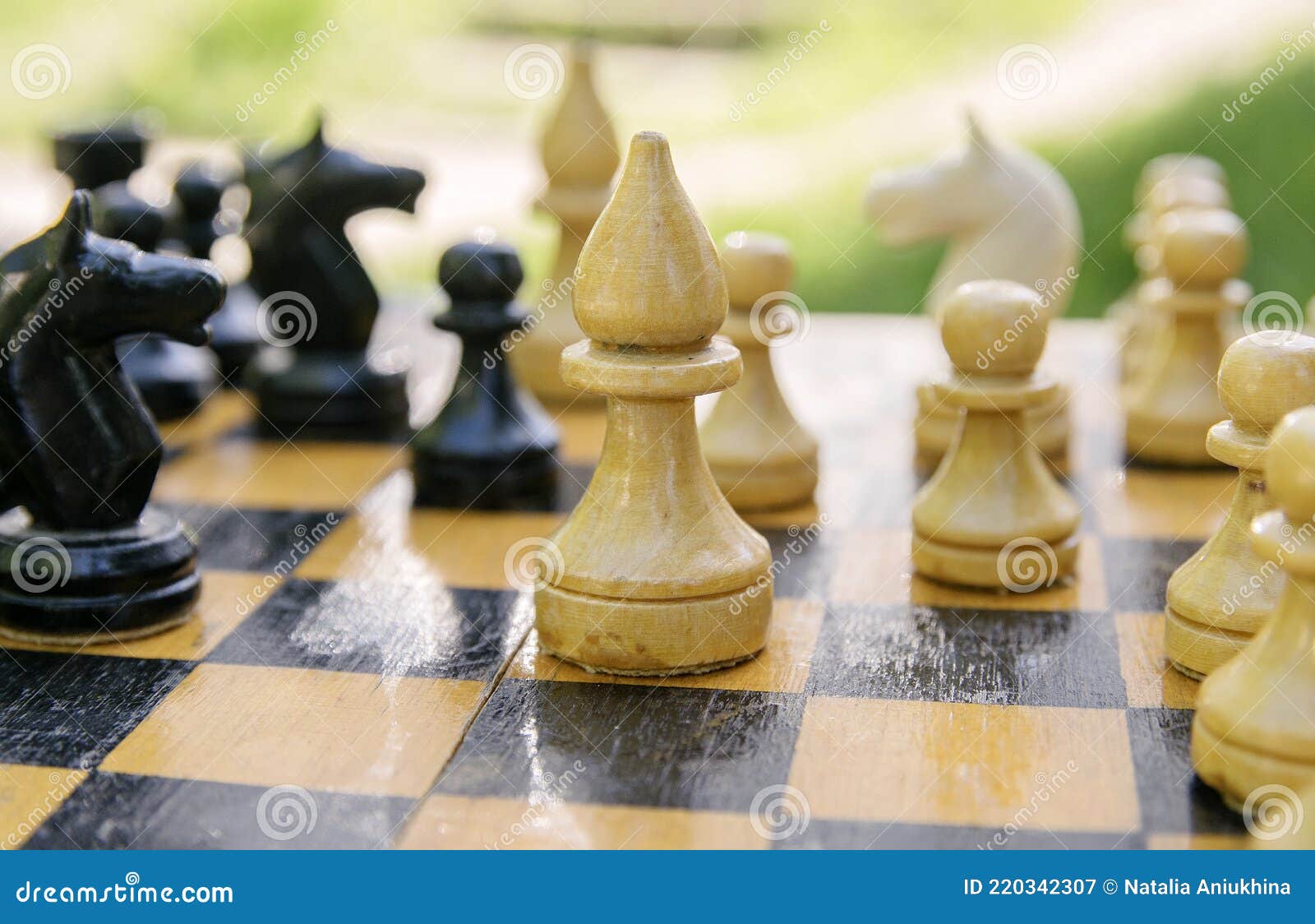 Chess White Piece Elephant Standing on the Board, Close Up Stock Image ...