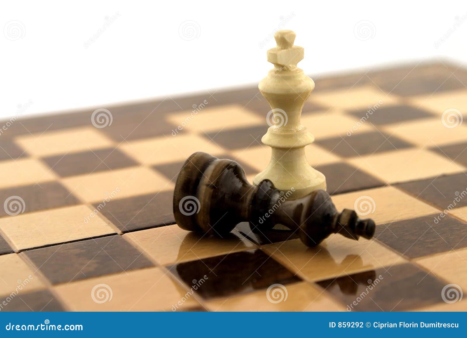 Chess winner stock photo. Image of player, game, wood, close - 859292