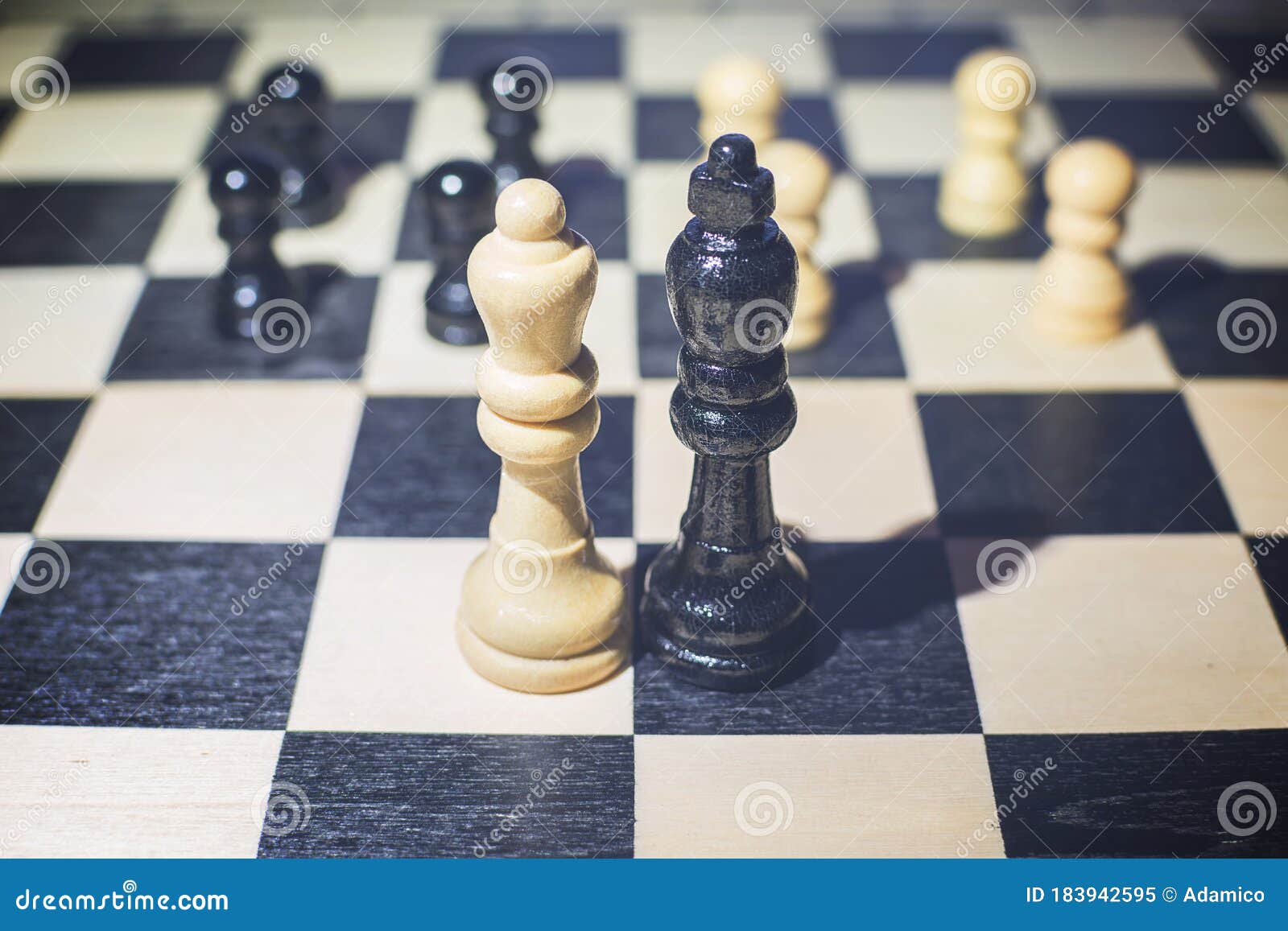 On The Chessboard, The Black Queen Checkmated The White King Royalty ...
