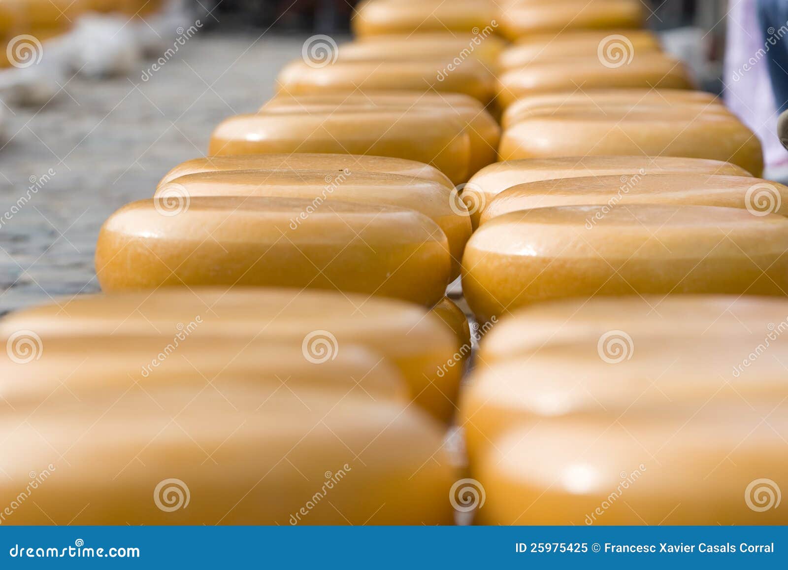 Chesse stock image. Image of traditional, tasty, cheese - 25975425