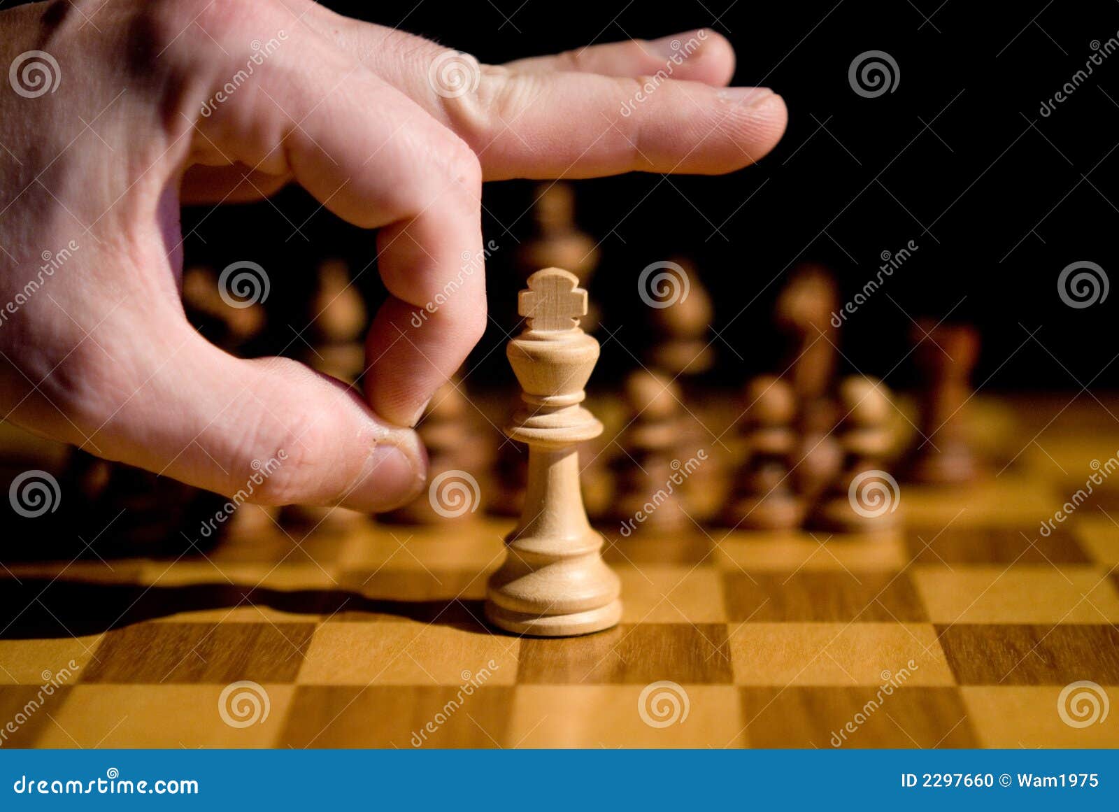 Chessmate stock photo. Image of entertainment, king, demonstrate - 2297660