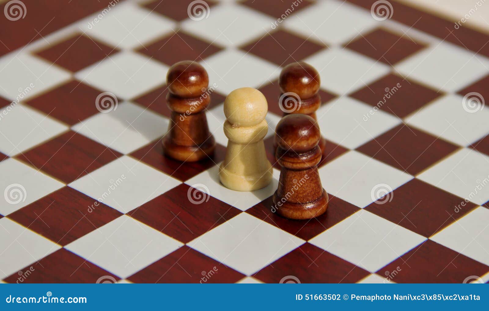 Chessmates stock photo. Image of mate, winner, defeated - 51663502