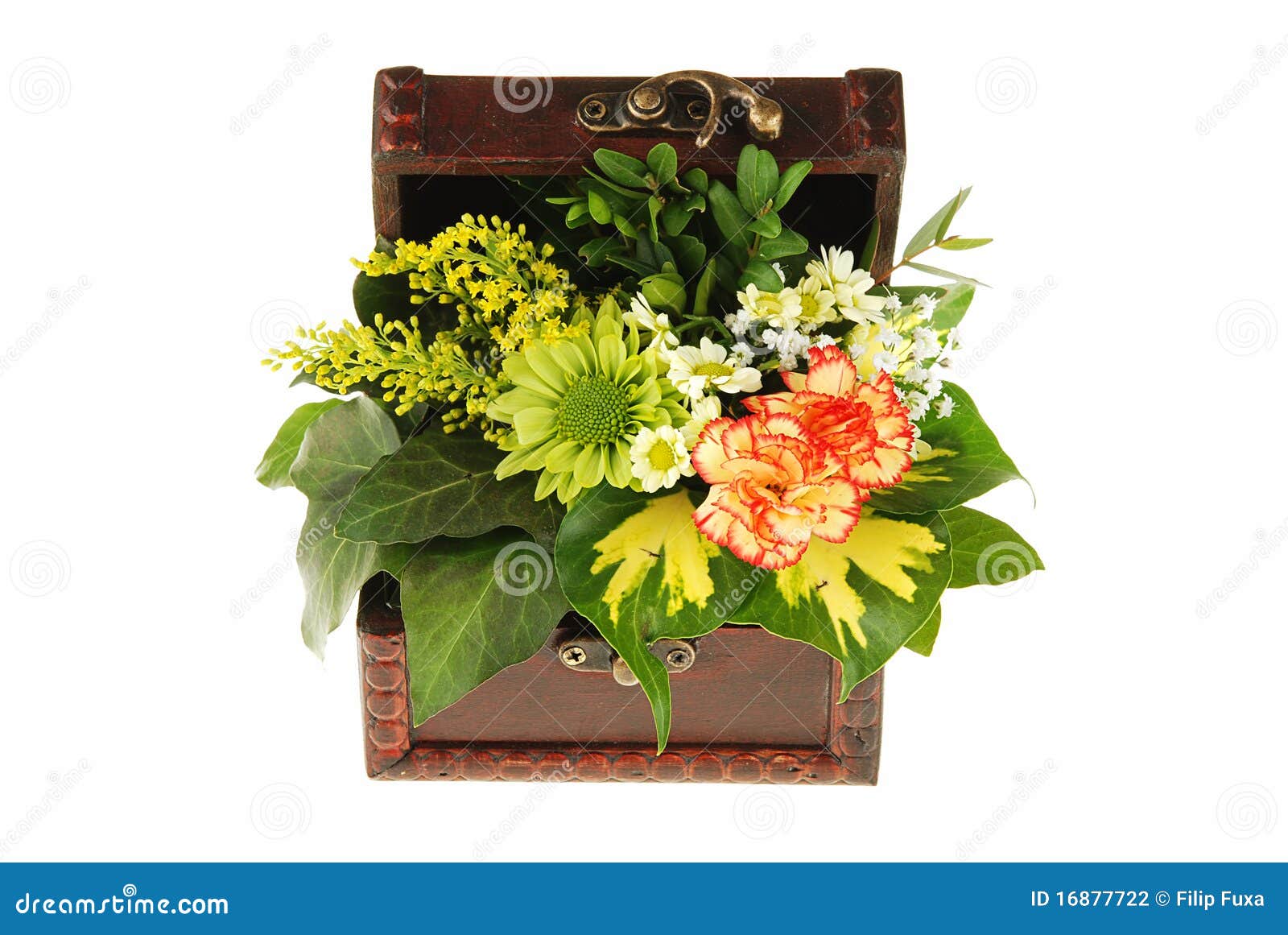 Chest of flowers stock photo. Image of leaves, open, wood - 16877722