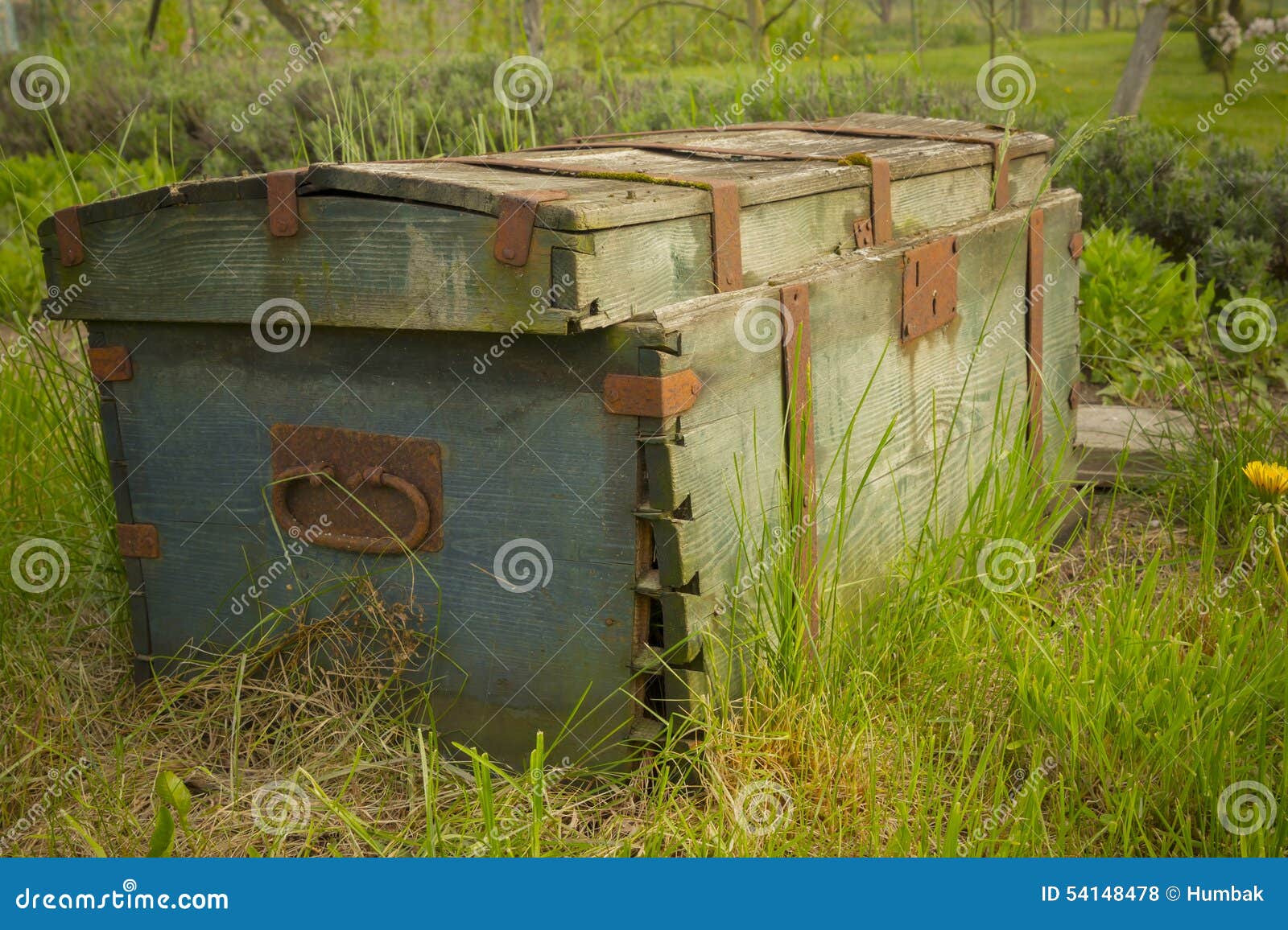 Chest in garden stock photo. Image of treasure, sunshine - 54148478