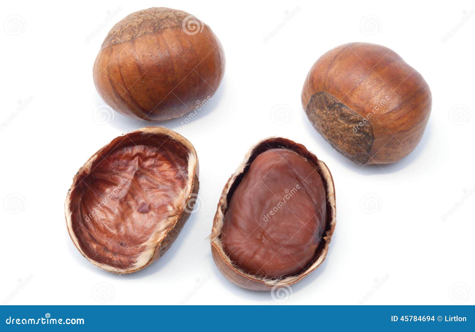 Chest Nut Roast Isolated Stock Photos - Free & Royalty-Free Stock ...