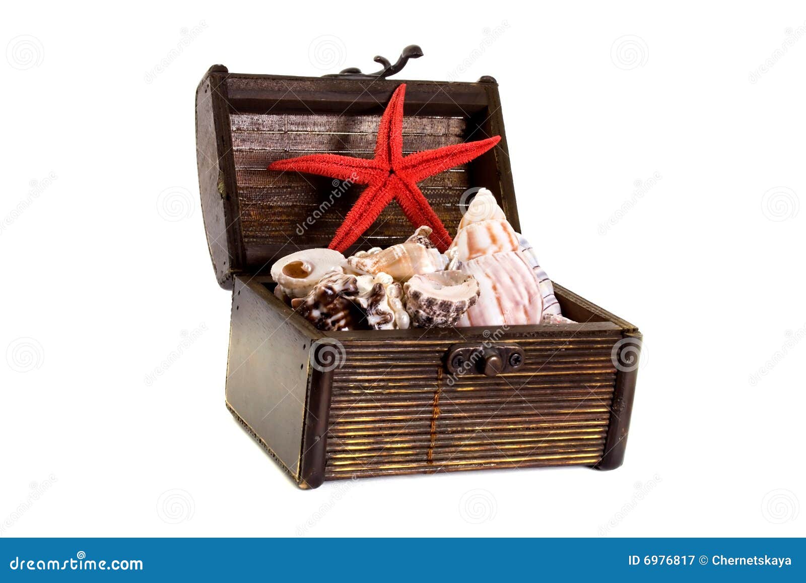 Chest with sea shells stock image. Image of island, creature - 6976817