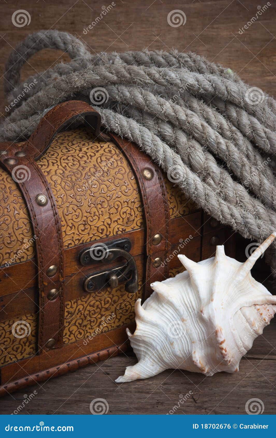 Chest and seashell stock photo. Image of decoration, brown - 18702676