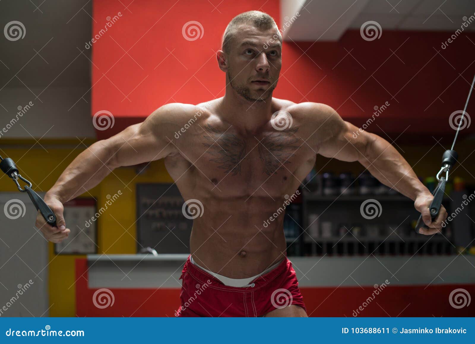 Chest Workout Cable Crossover in Gym Stock Image - Image of indoors ...