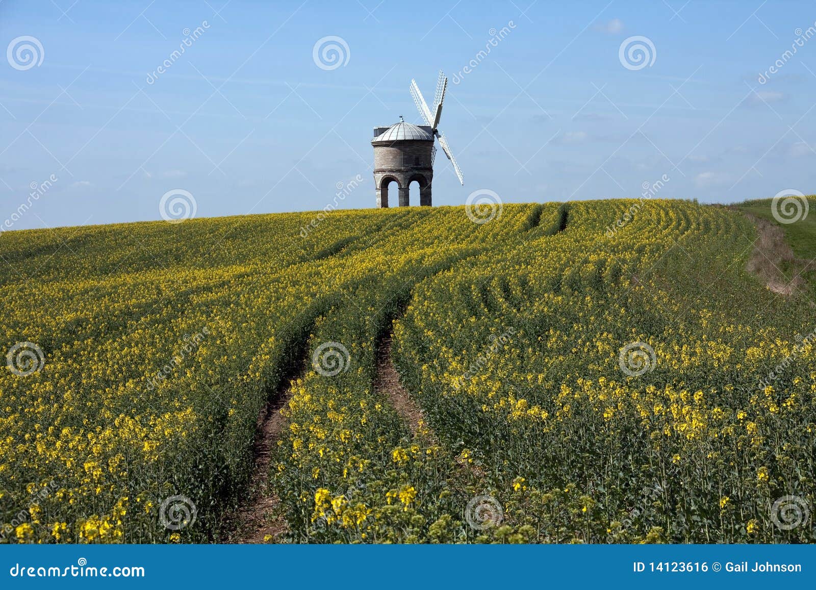 Chesterton Mill stock photo. Image of rapeseed, chesterton - 14123616