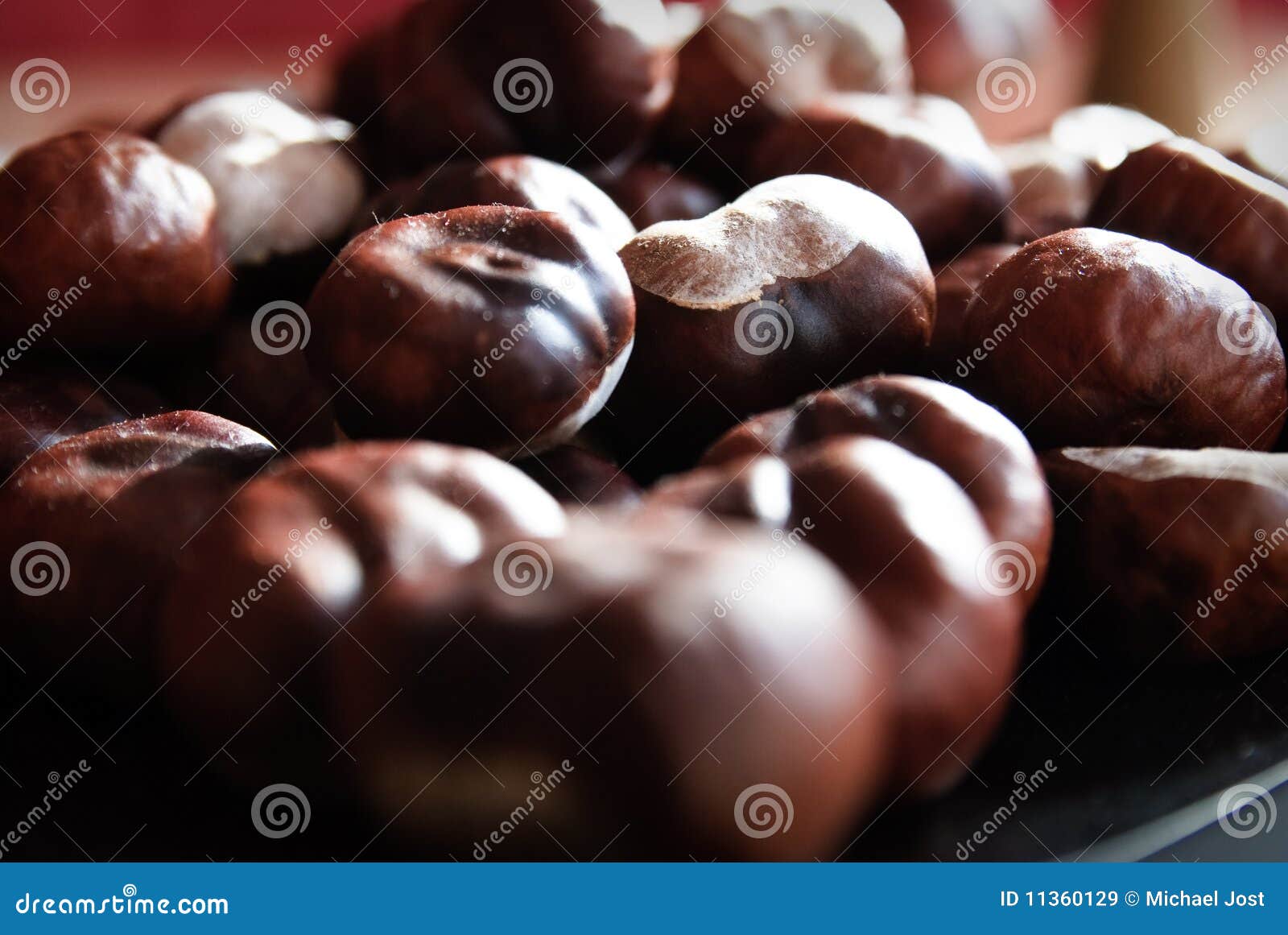 Chestnut stock image. Image of environmental, kernel - 11360129