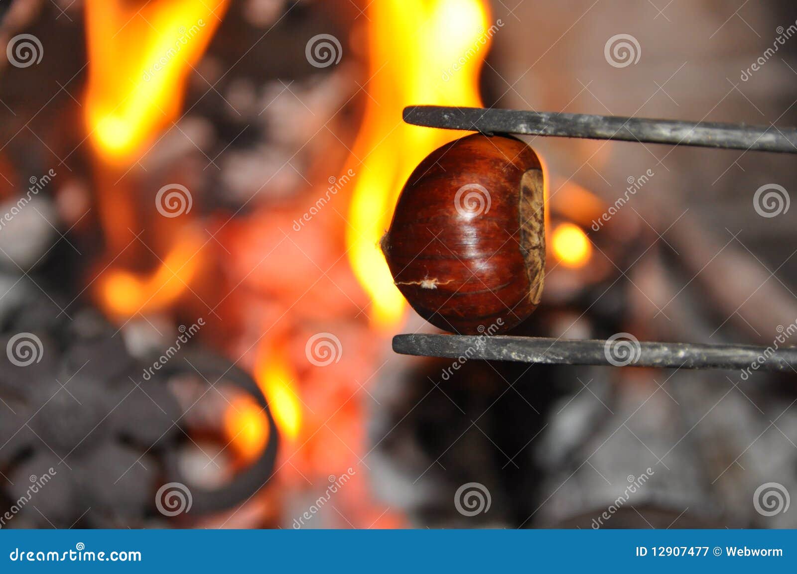 Chestnut stock image. Image of roasted, grill, outside - 12907477