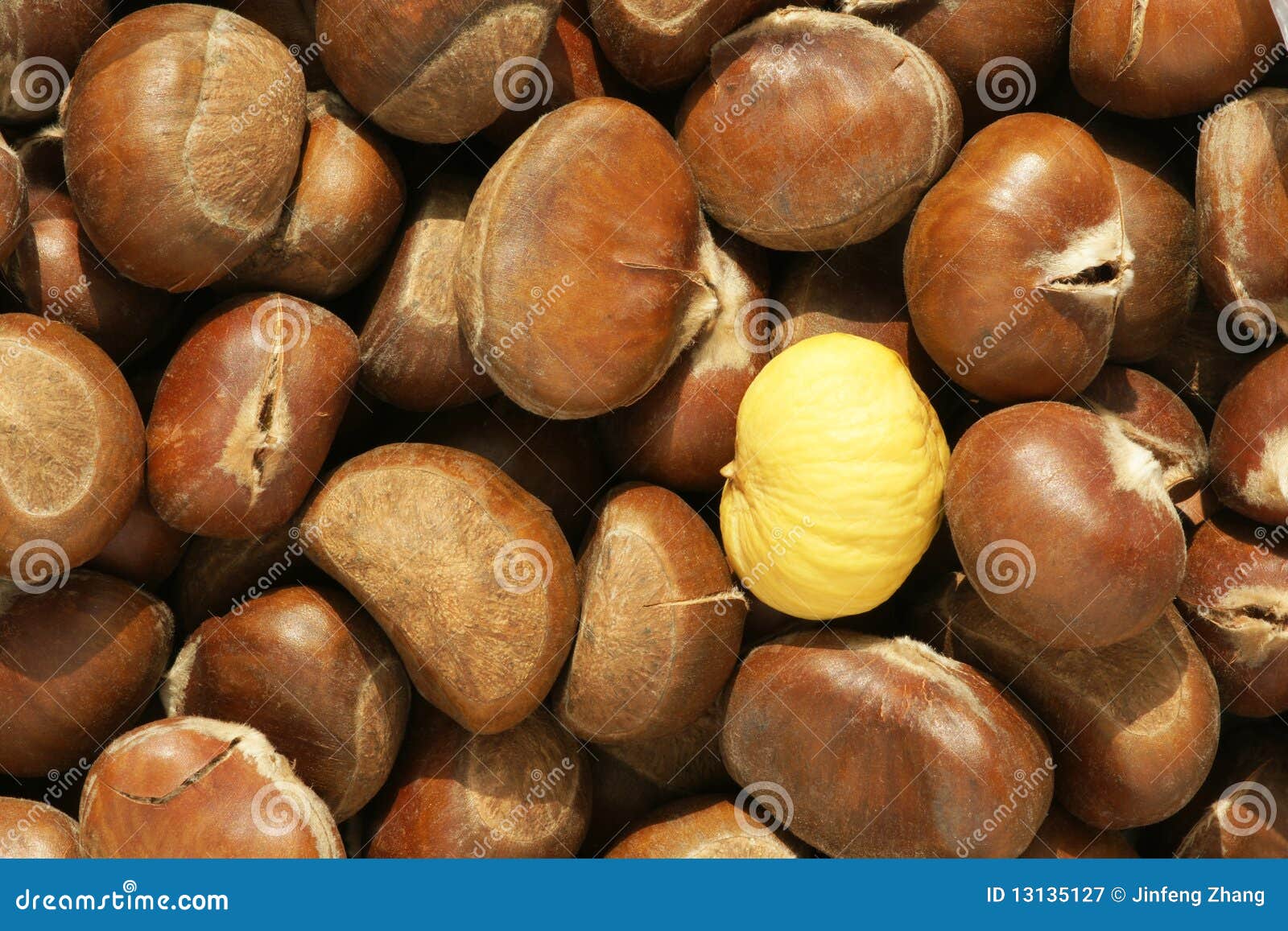 Chestnut stock image. Image of diet, chestnut, nutritious - 13135127