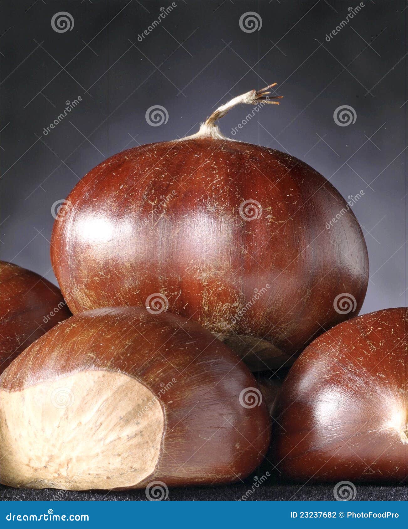 Chestnut stock photo. Image of maroon, dessert, brown - 23237682