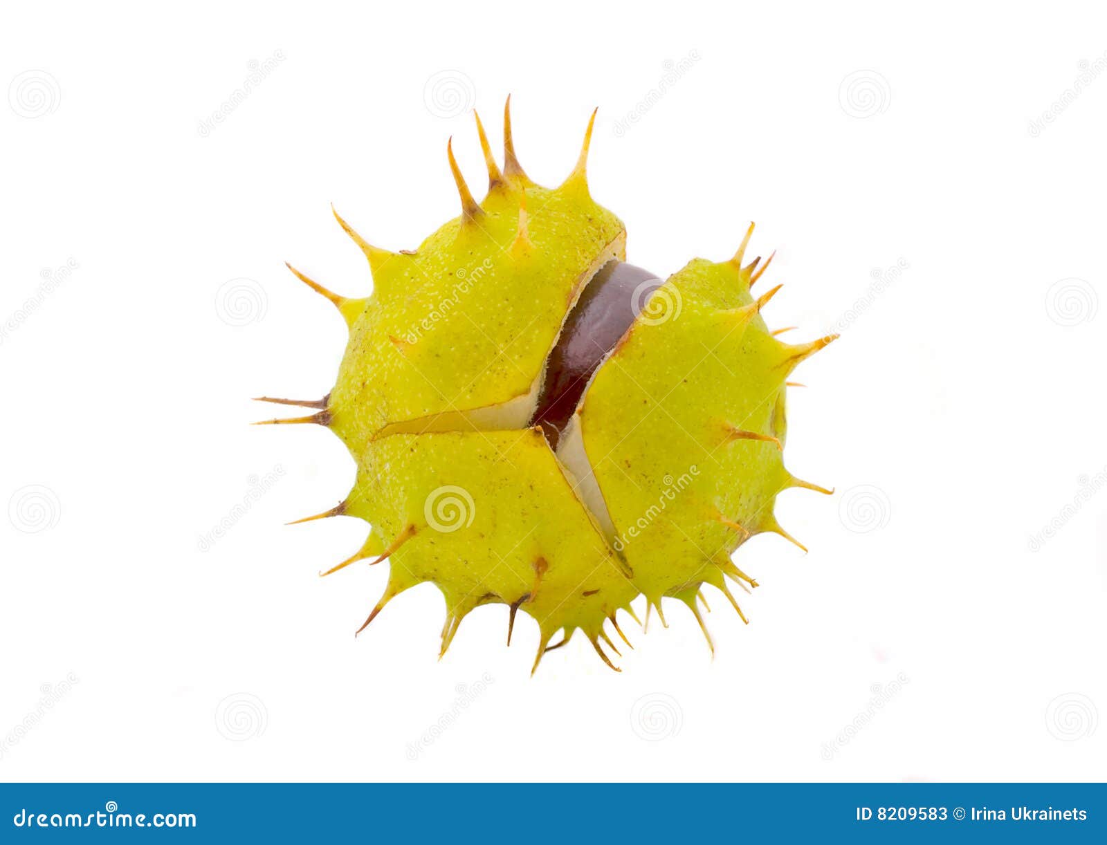 Causticity Stock Photos - Free & Royalty-Free Stock Photos from Dreamstime