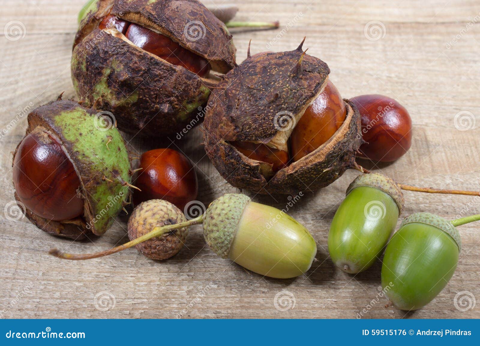 Chestnut and Acorns on a Wooden Table Stock Photo - Image of fruit ...
