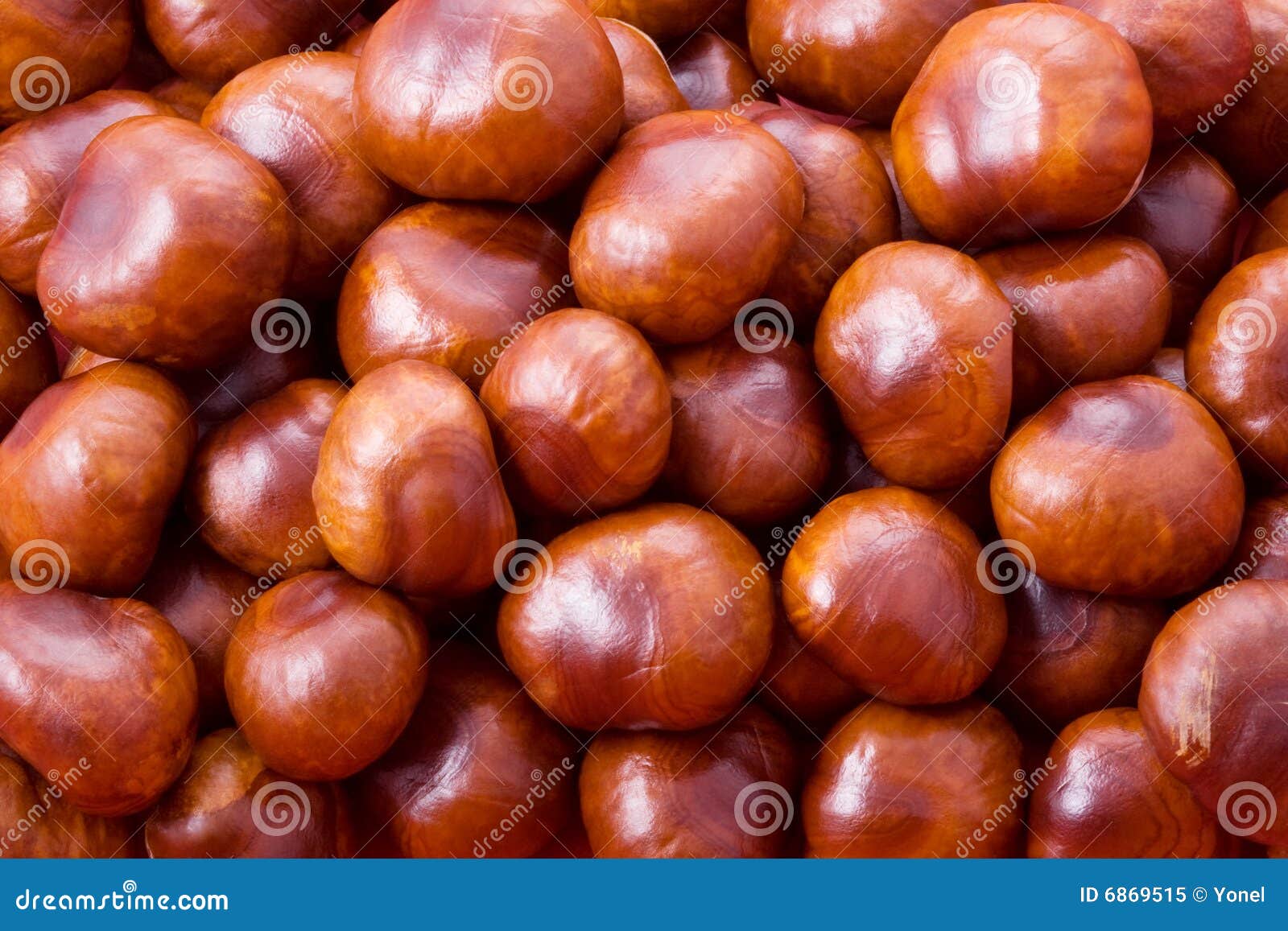 Chestnut background stock image. Image of shiny, closeup - 6869515