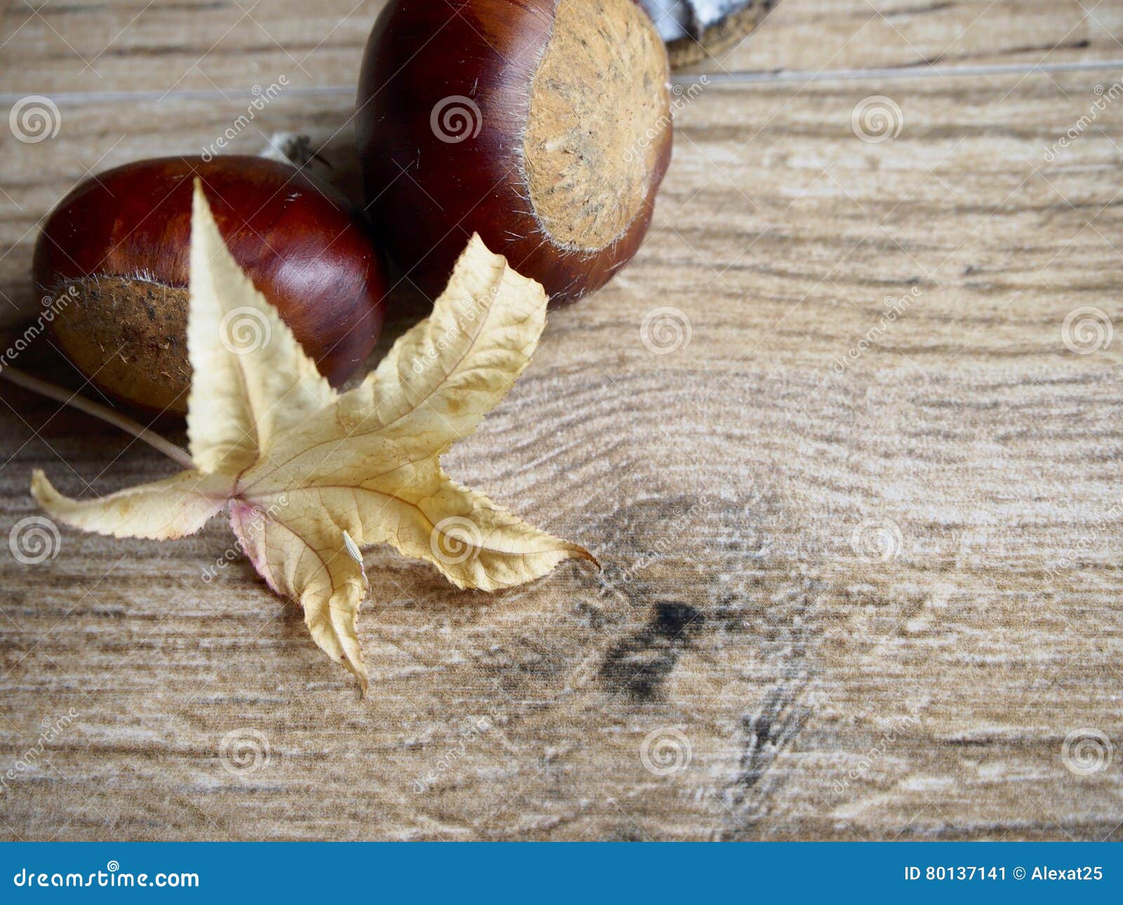 Chestnut background stock image. Image of healthy, chestnut - 80137141