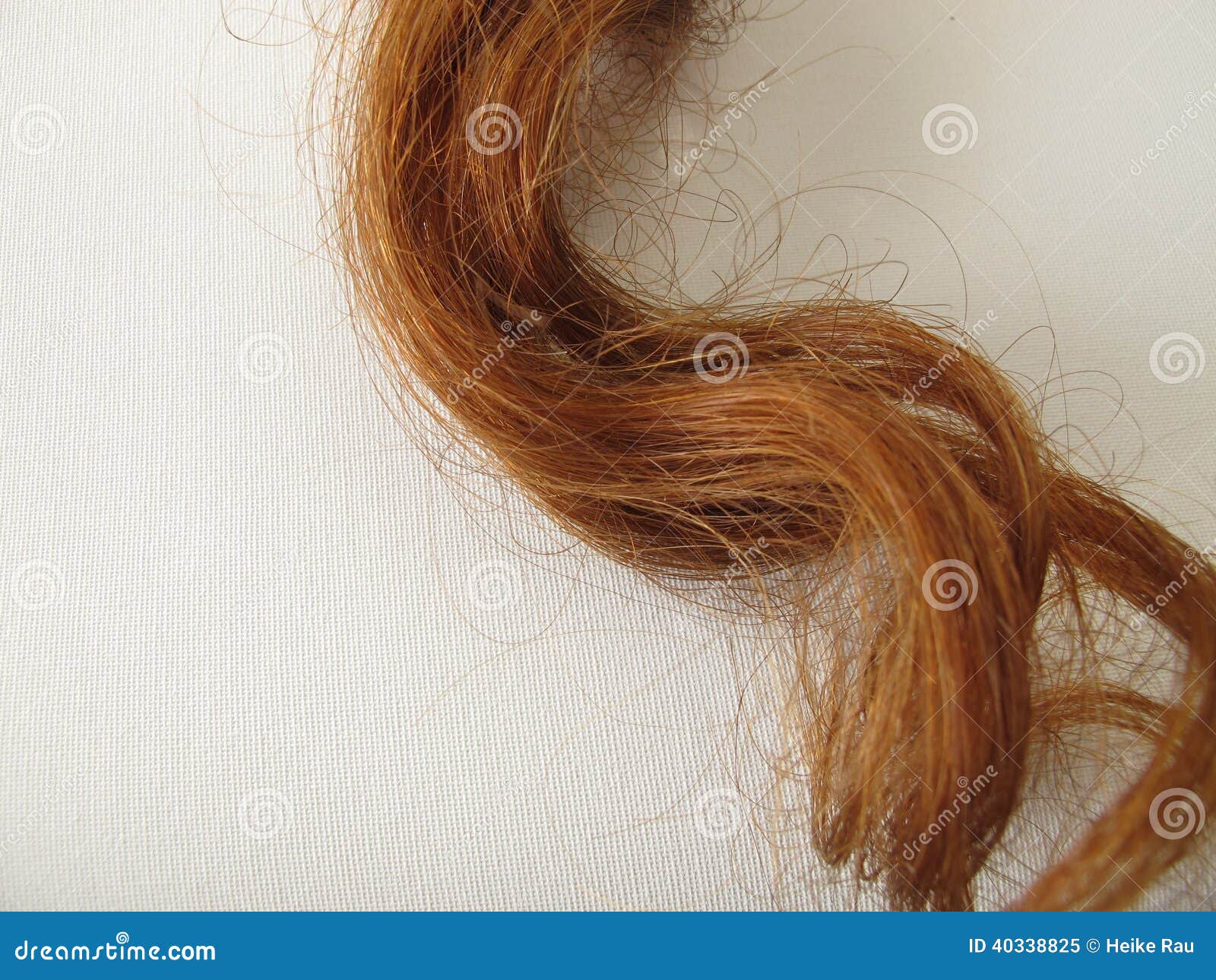 Chestnut Brown Hair Strand Stock Images - Download 37 Royalty Free Photos