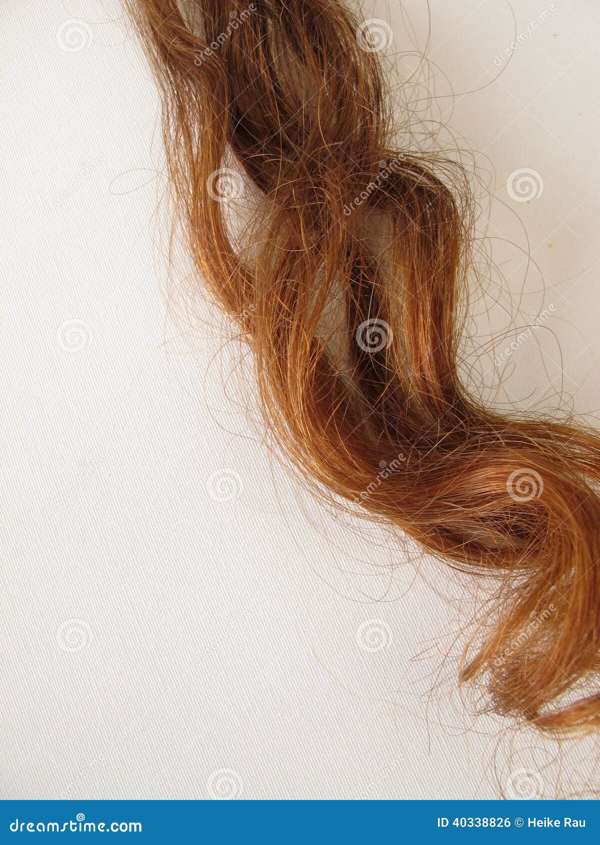 Chestnut-brown hair strand stock photo. Image of long - 40338826