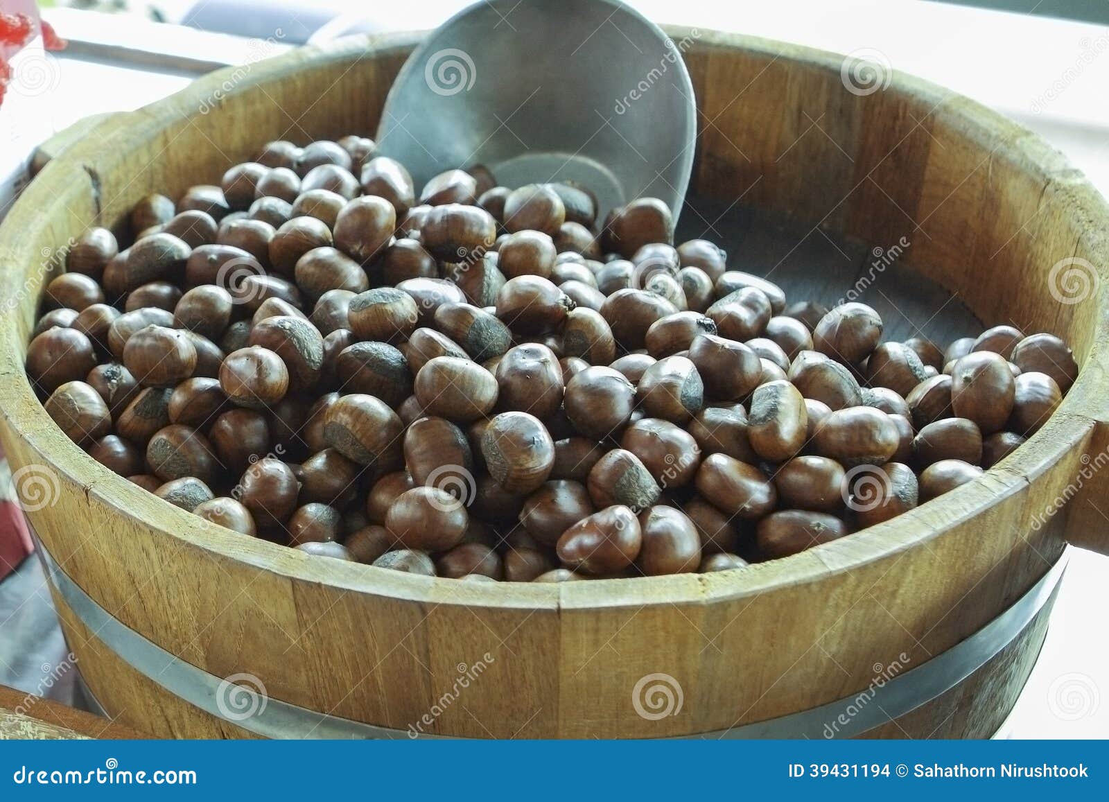 Chestnut in the bucket stock photo. Image of bucket, typical - 39431194
