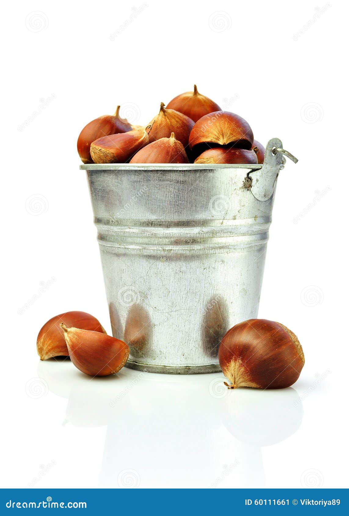 Chestnut in a bucket stock image. Image of healthy, close - 60111661