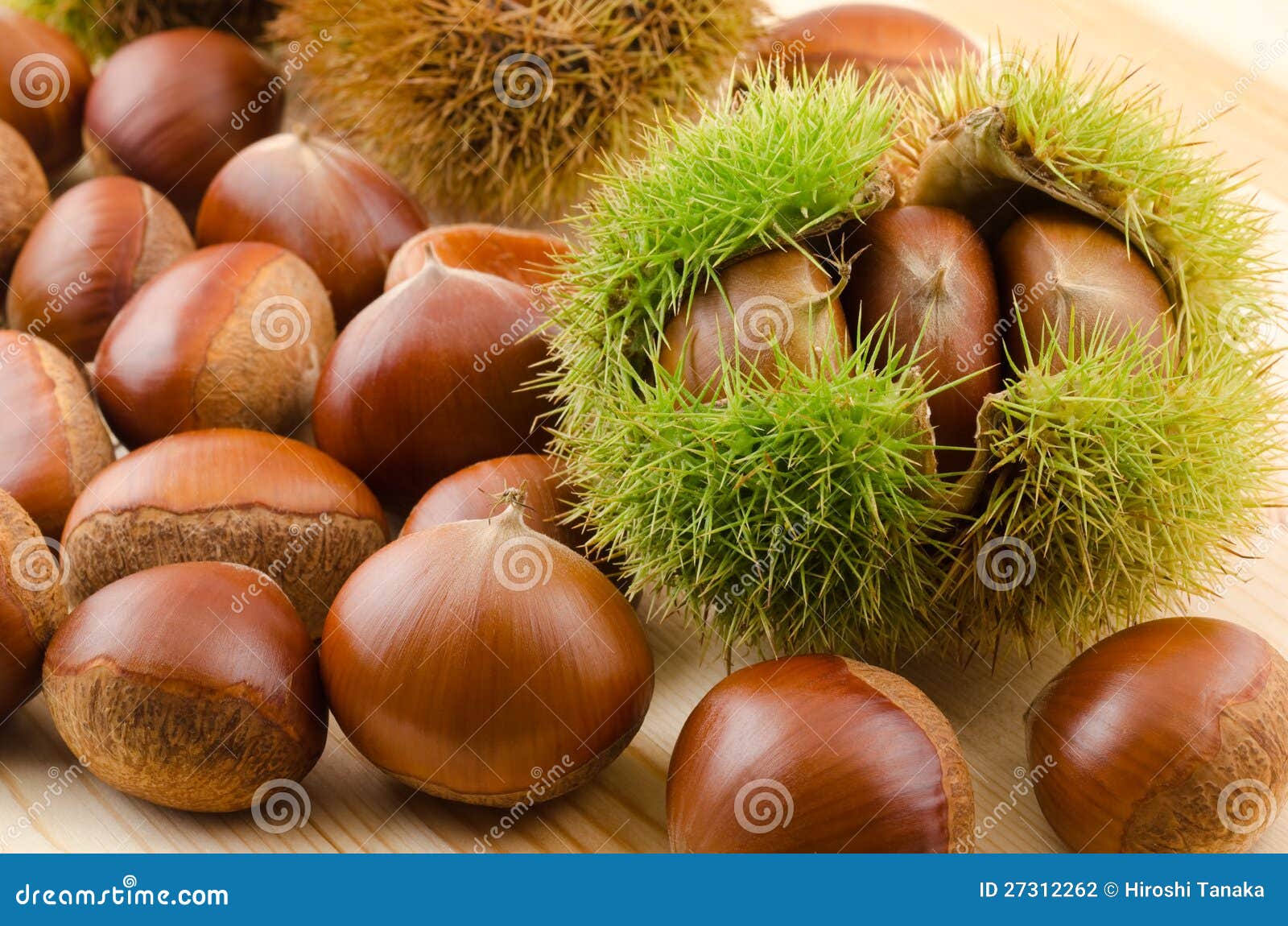 Chestnut bur and nuts stock photo. Image of still, farming - 27312262