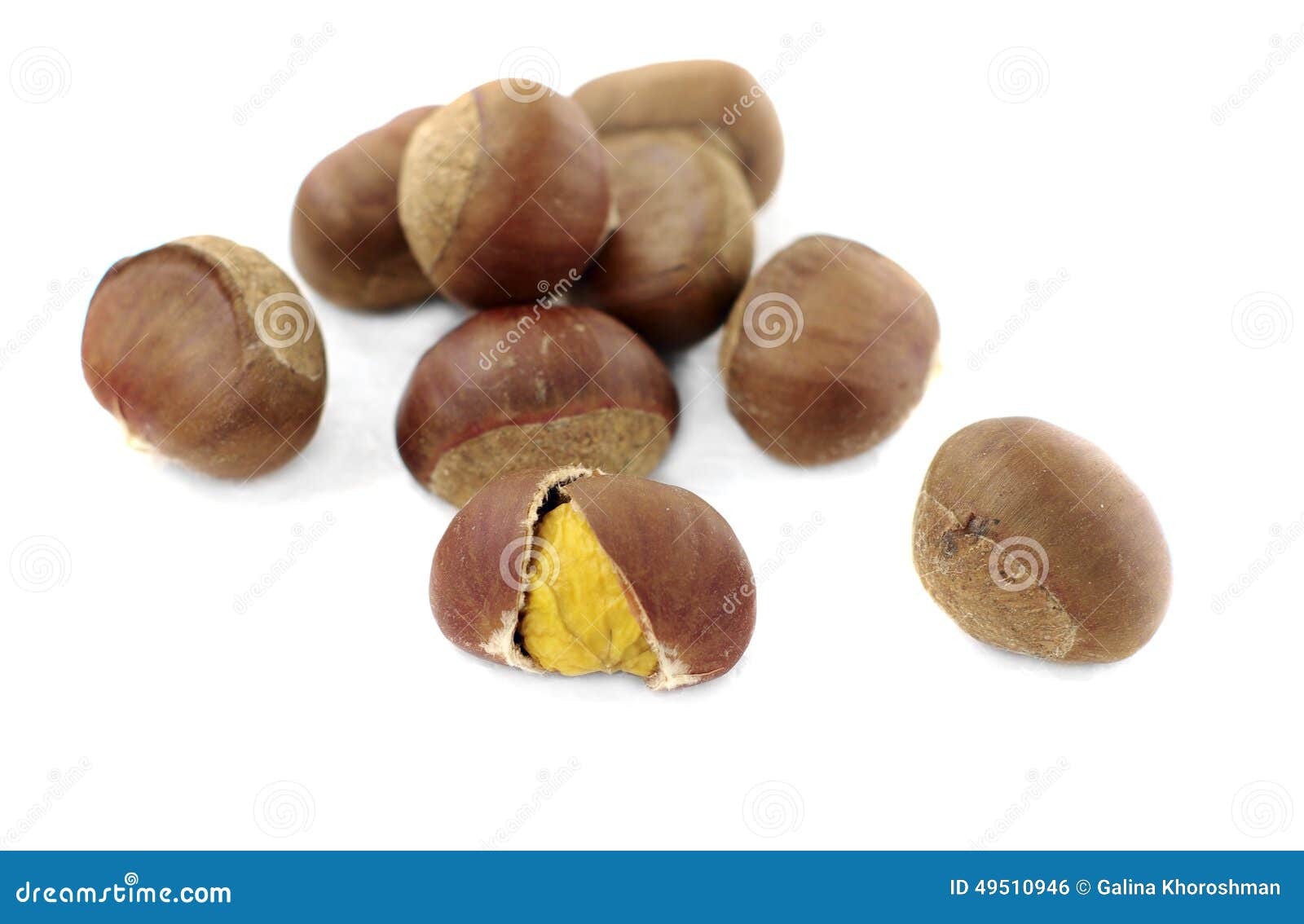 Chestnut (Castanea) edible stock photo. Image of chestnut - 49510946
