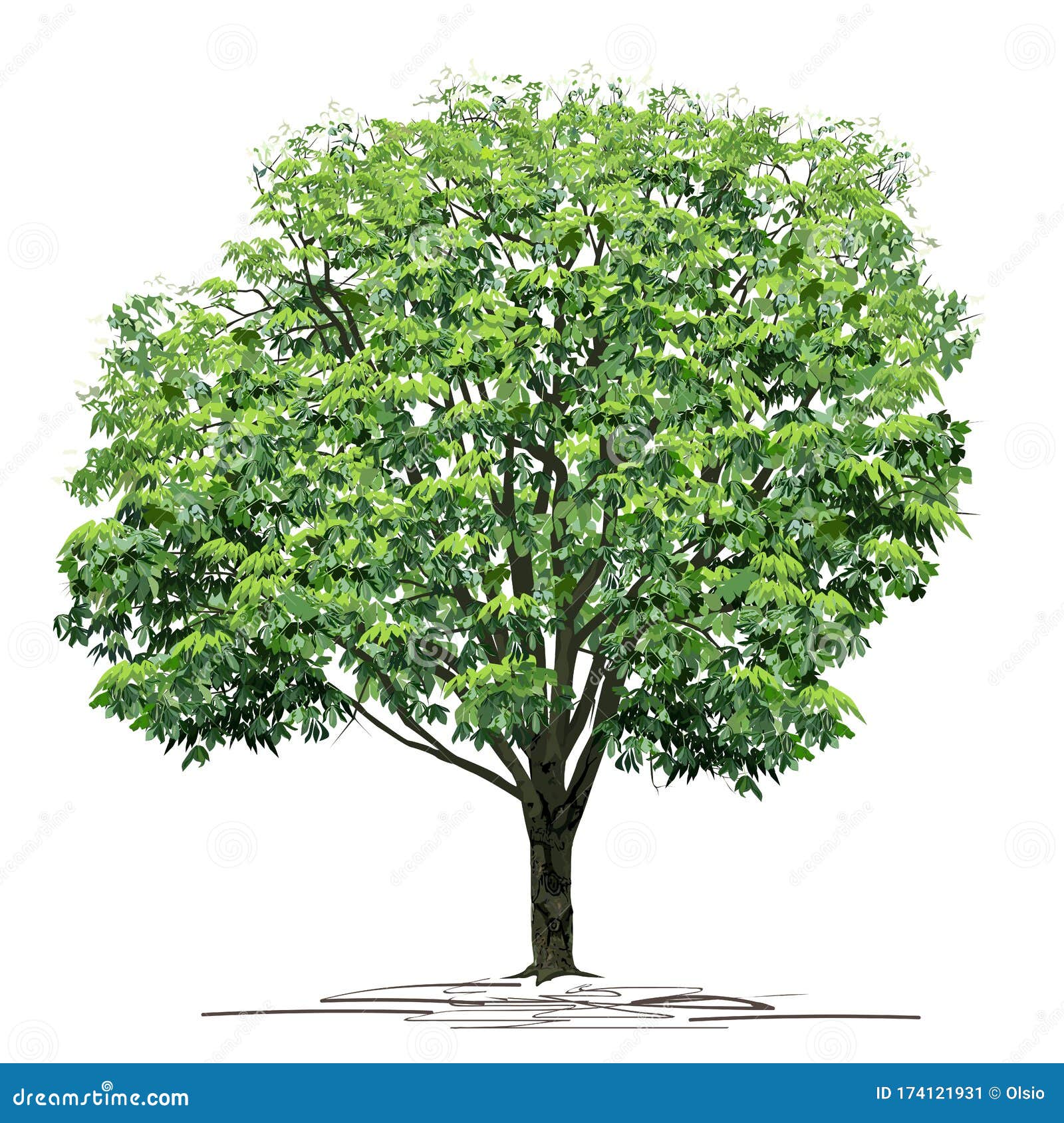 Chestnuttree Cartoons, Illustrations & Vector Stock Images - 17 ...