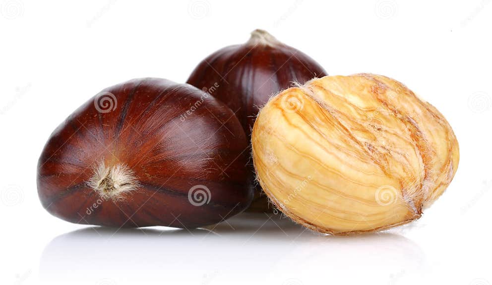 Chestnut stock photo. Image of chesnut, fresh, inside - 61550378