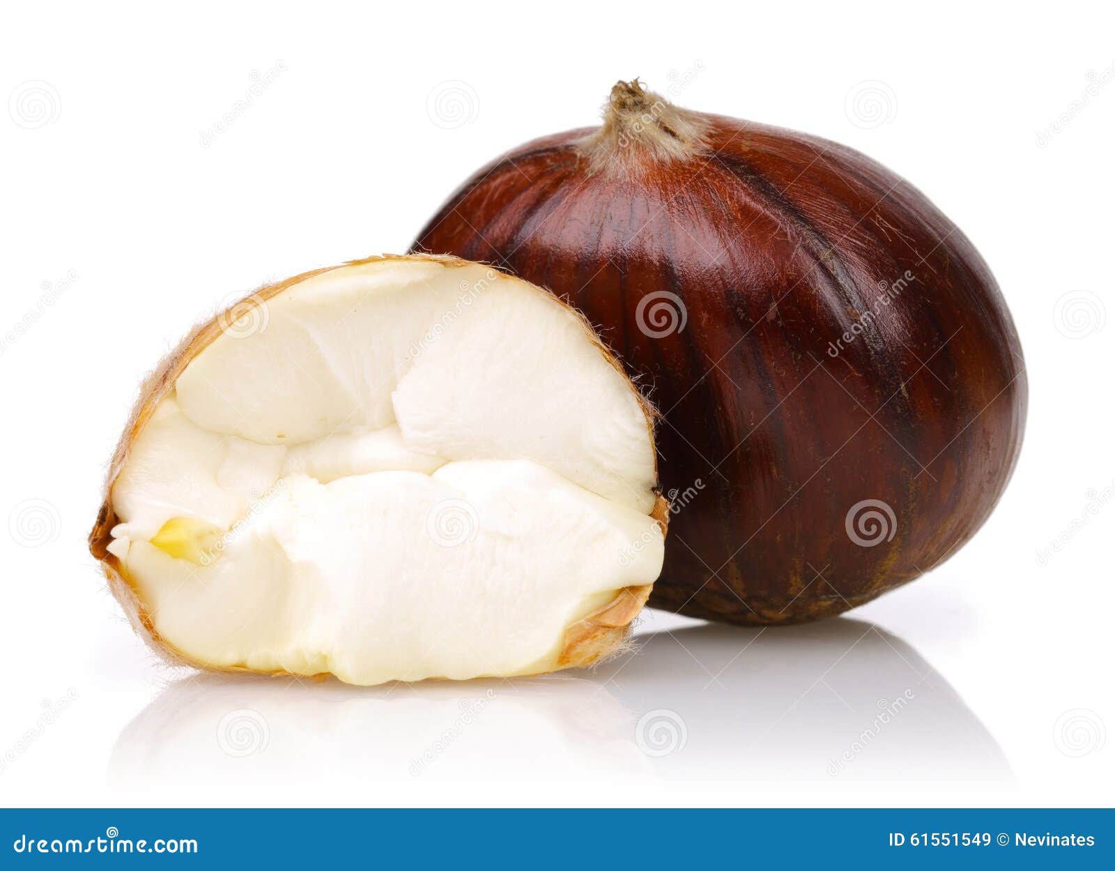 Chestnut stock image. Image of castanea, chestnut, nature - 61551549