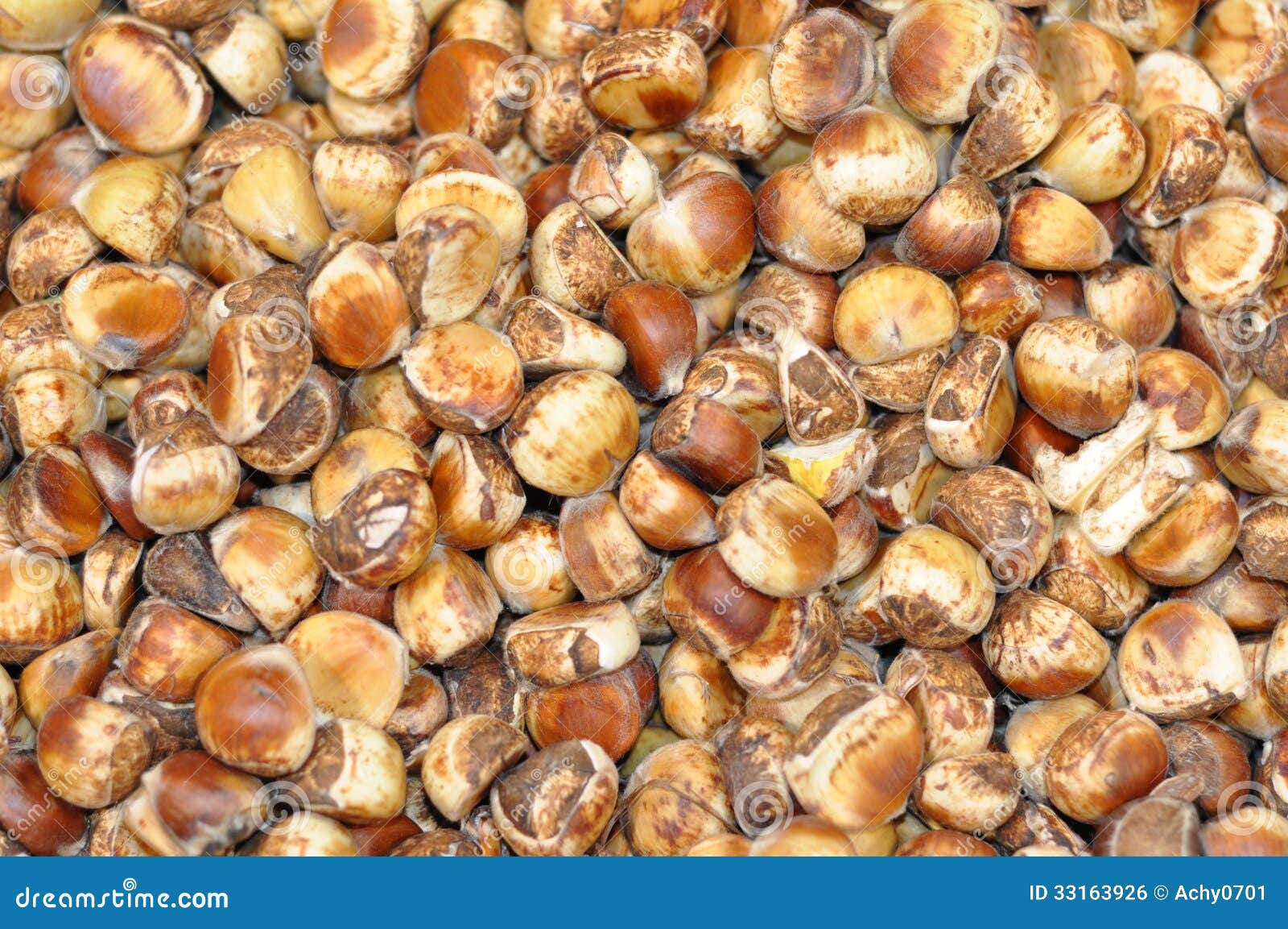 Chestnut stock photo. Image of castanea, chinese, agriculture - 33163926