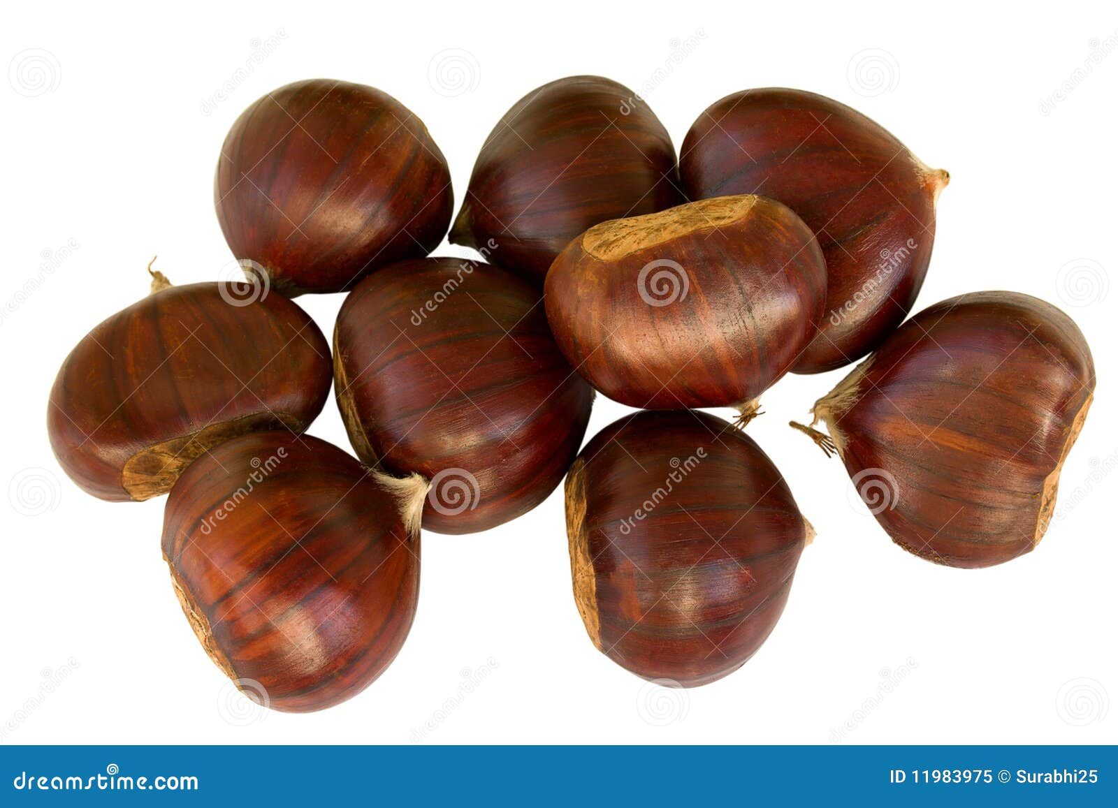 Chestnut, chinquapin stock image. Image of group, protein - 11983975