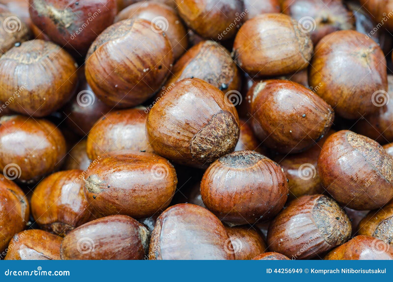 Chestnut stock image. Image of maroni, healthy, freshness - 44256949