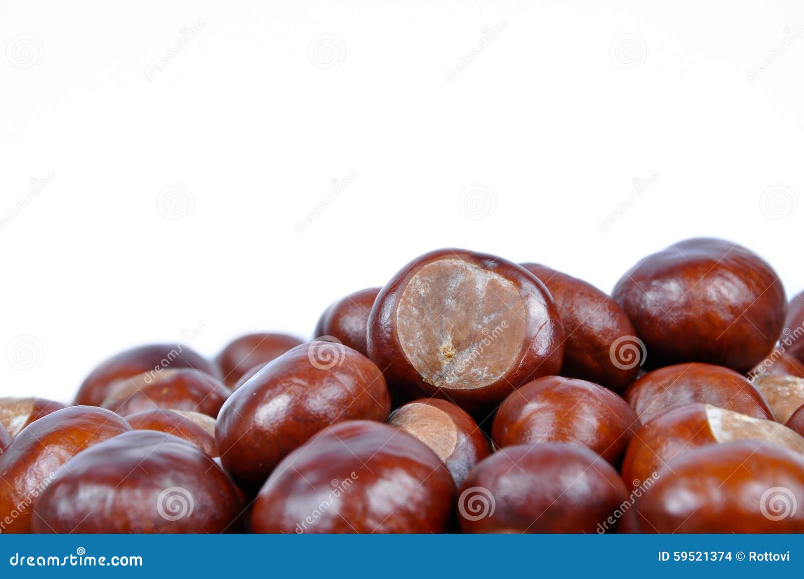 Chestnut stock photo. Image of nature, natural, tasty - 59521374
