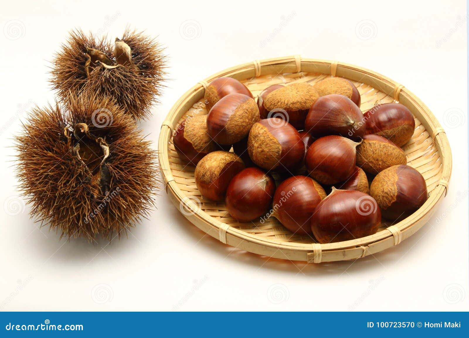 Chestnut stock photo. Image of organic, nature, season - 100723570