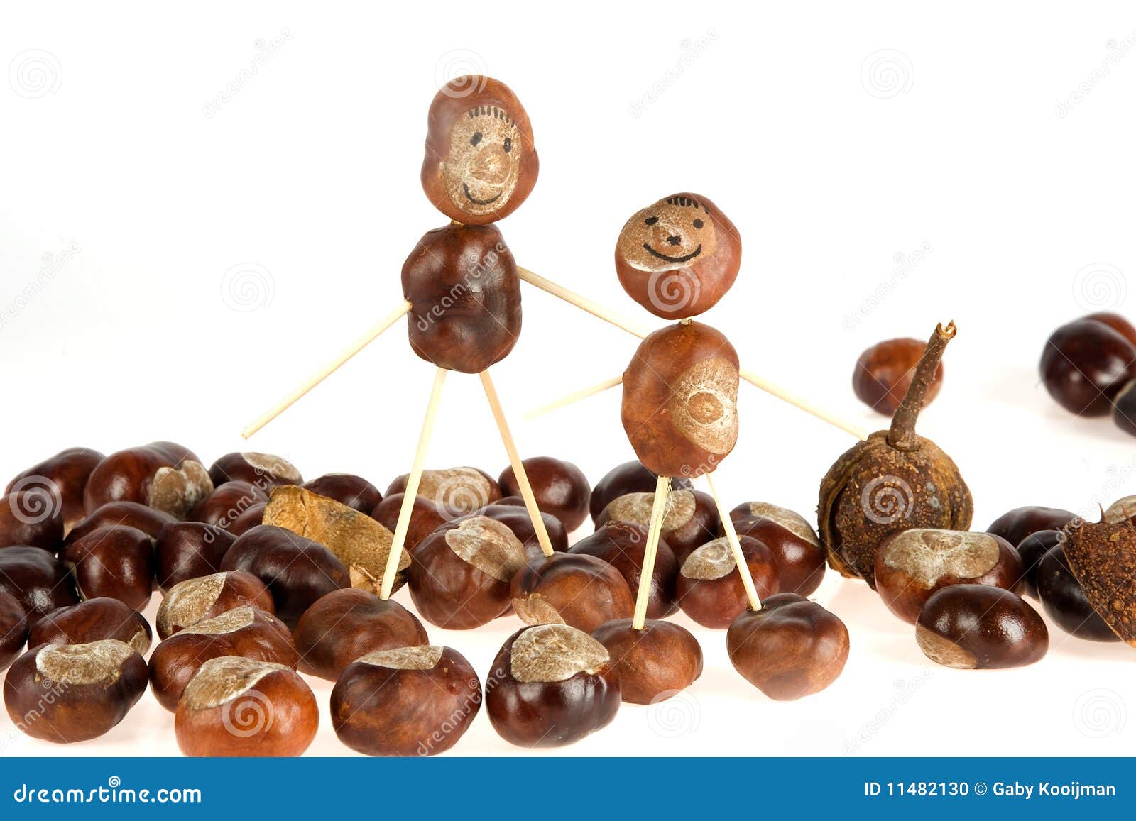 Chestnut-doll stock photo. Image of rind, husk, open - 11482130