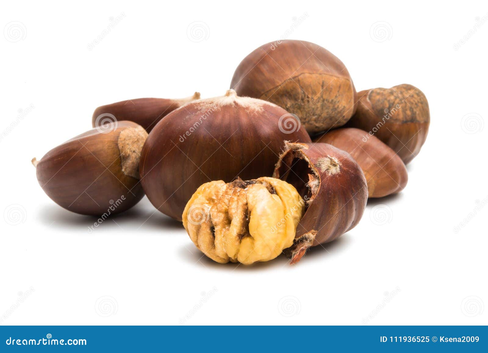 Chestnut edible stock image. Image of bronze, sativa - 111936525