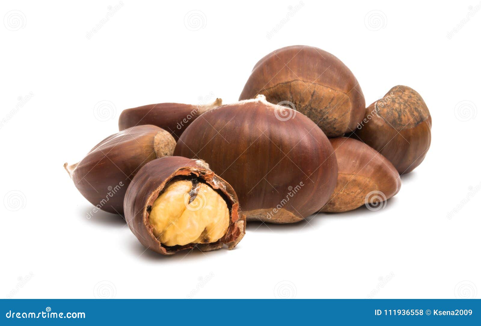 Chestnut edible stock photo. Image of brown, chestnut - 111936558