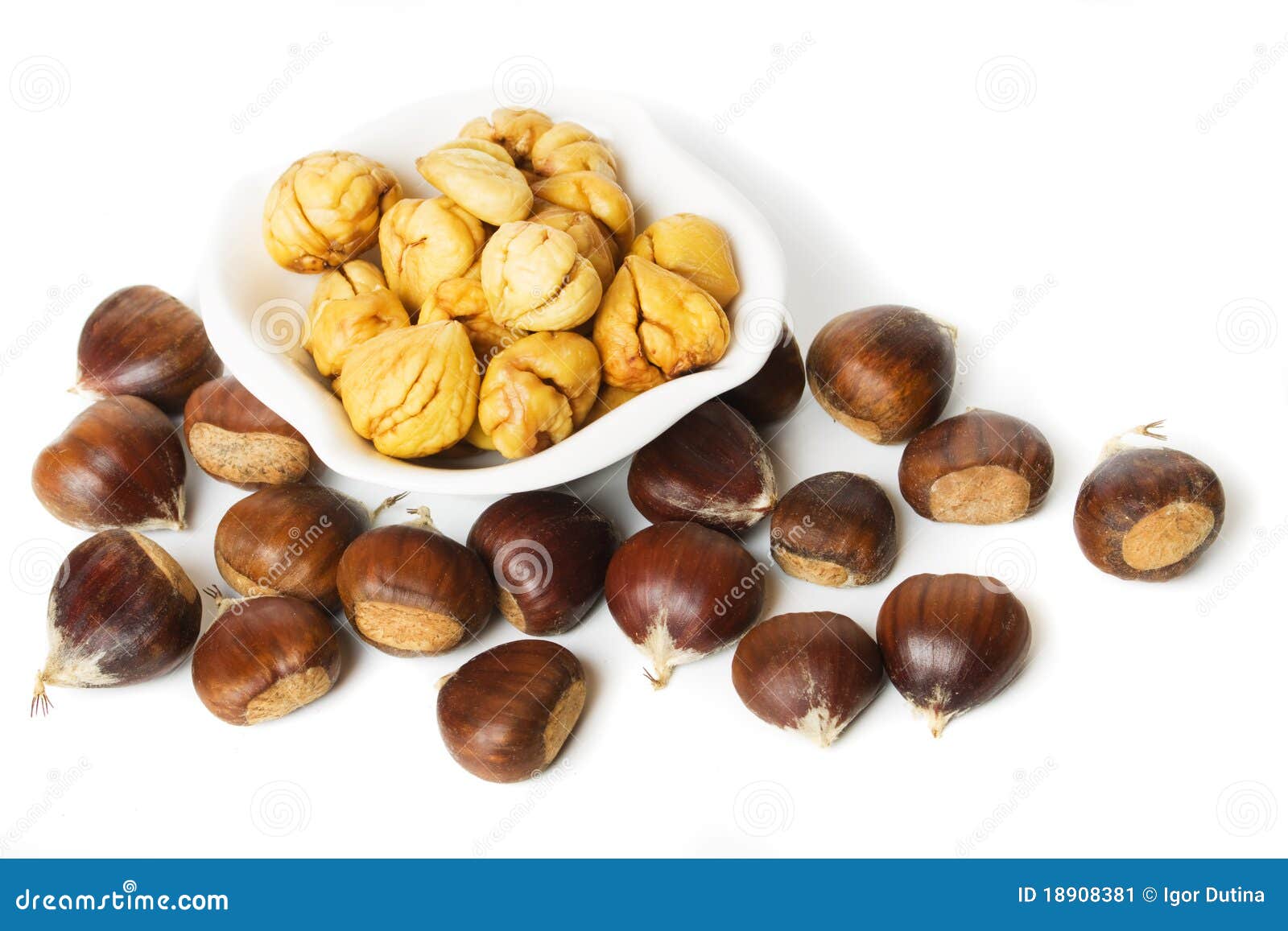 Chestnut Fruit Isolated on White Stock Image - Image of fruit ...