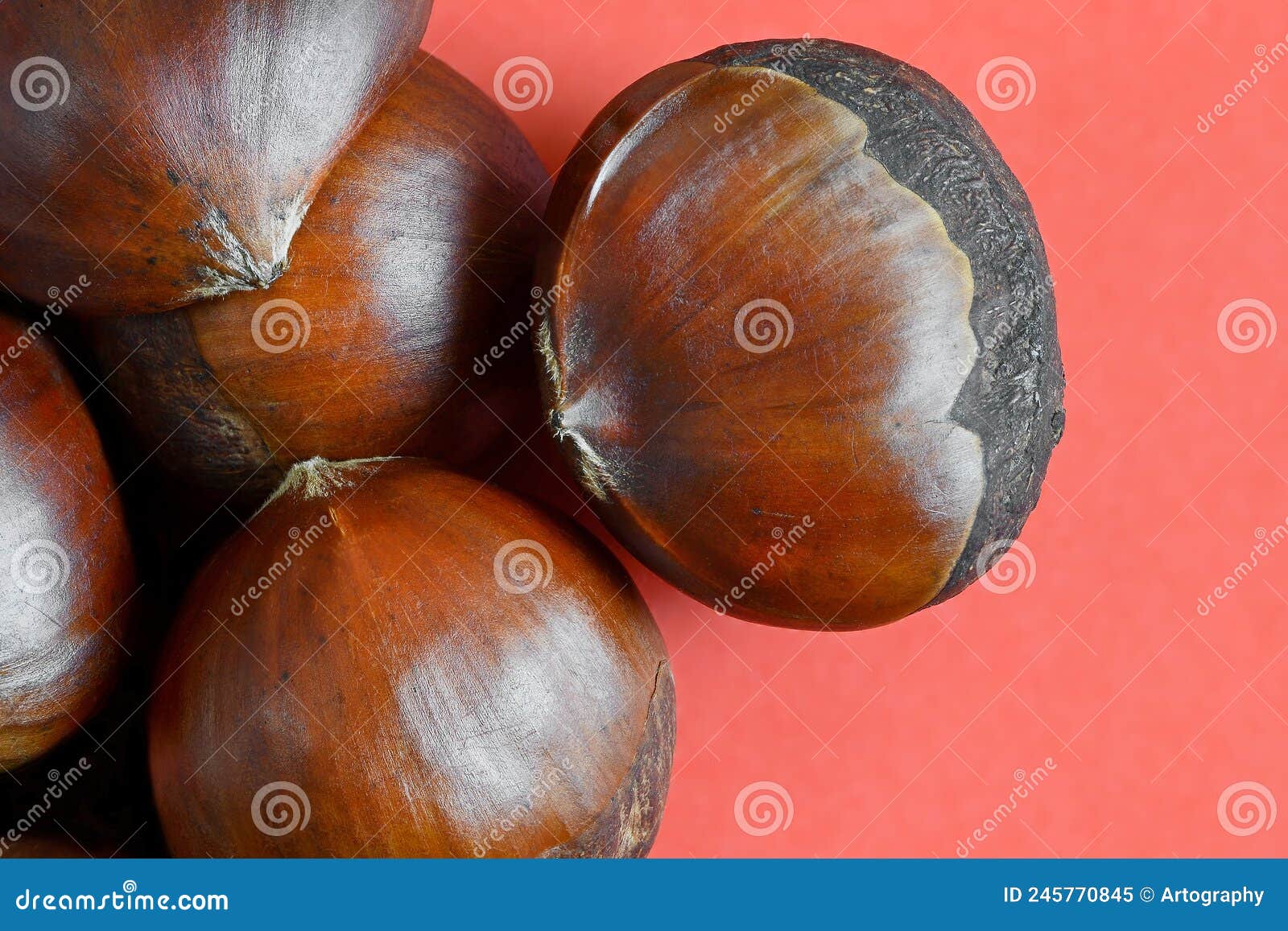 Chestnut fruits stock image. Image of macro, chestnut - 245770845