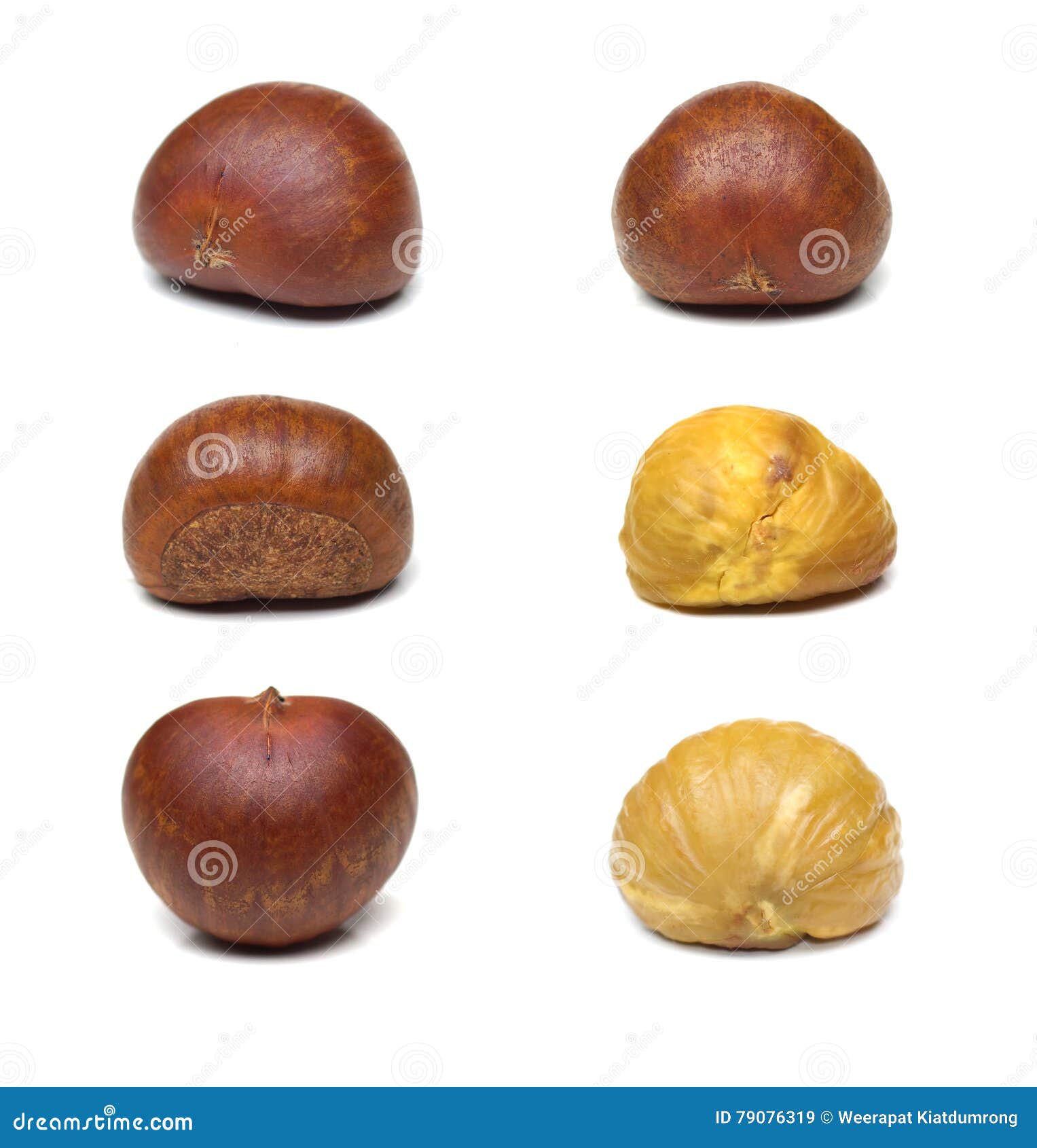 Chestnut stock image. Image of peel, isolated, inside - 79076319
