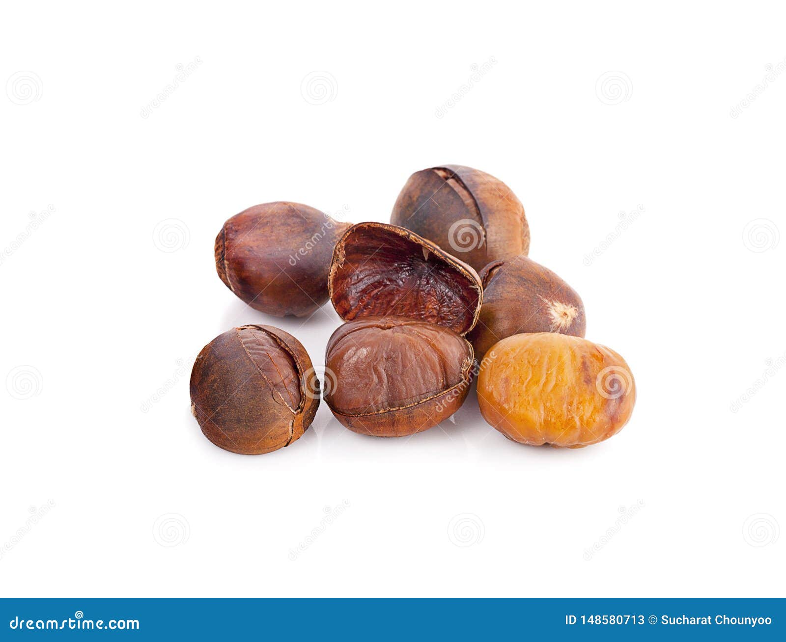 Chestnut Isolated on White Background Stock Image - Image of food ...