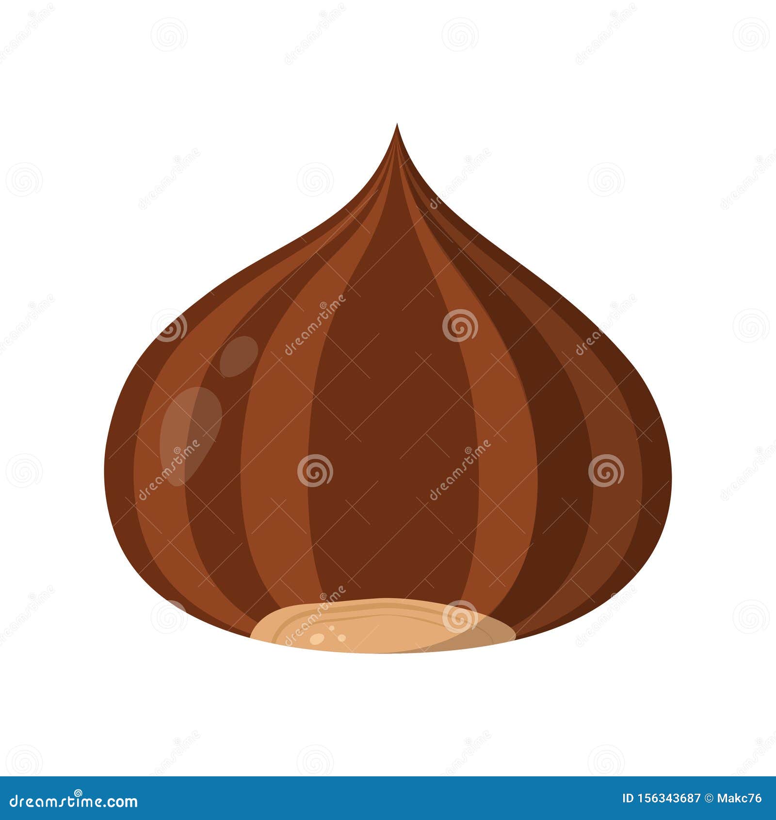 Chestnut isolated on white stock vector. Illustration of brown - 156343687