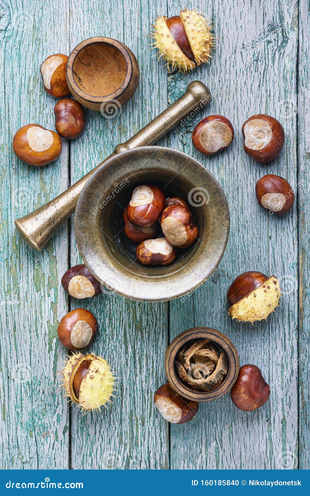 Chestnut in Herbal Medicine Stock Photo - Image of natural, homeopathy ...