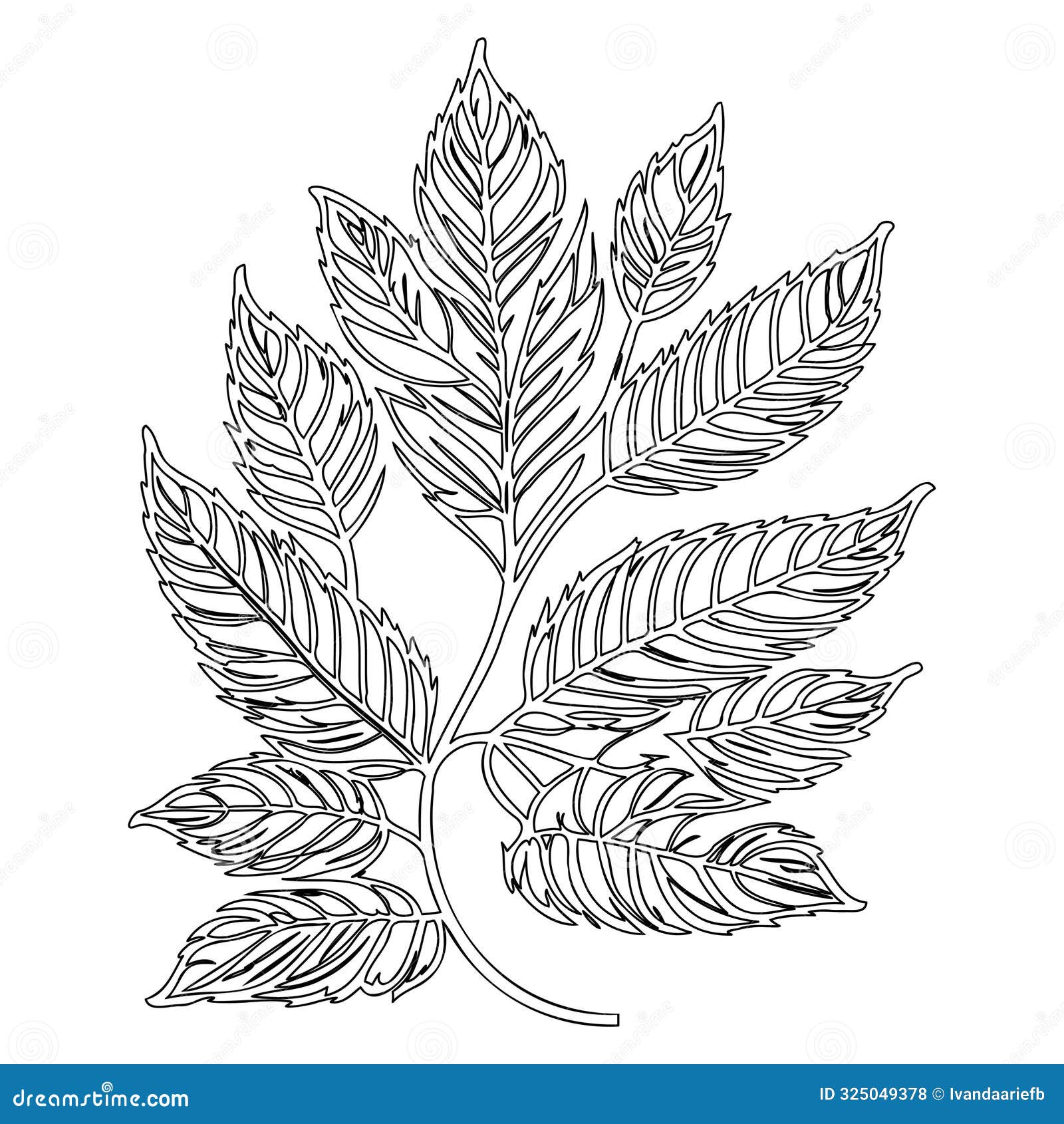 Chestnut Leaf Floral Outline Illustration Sketch Stock Vector ...
