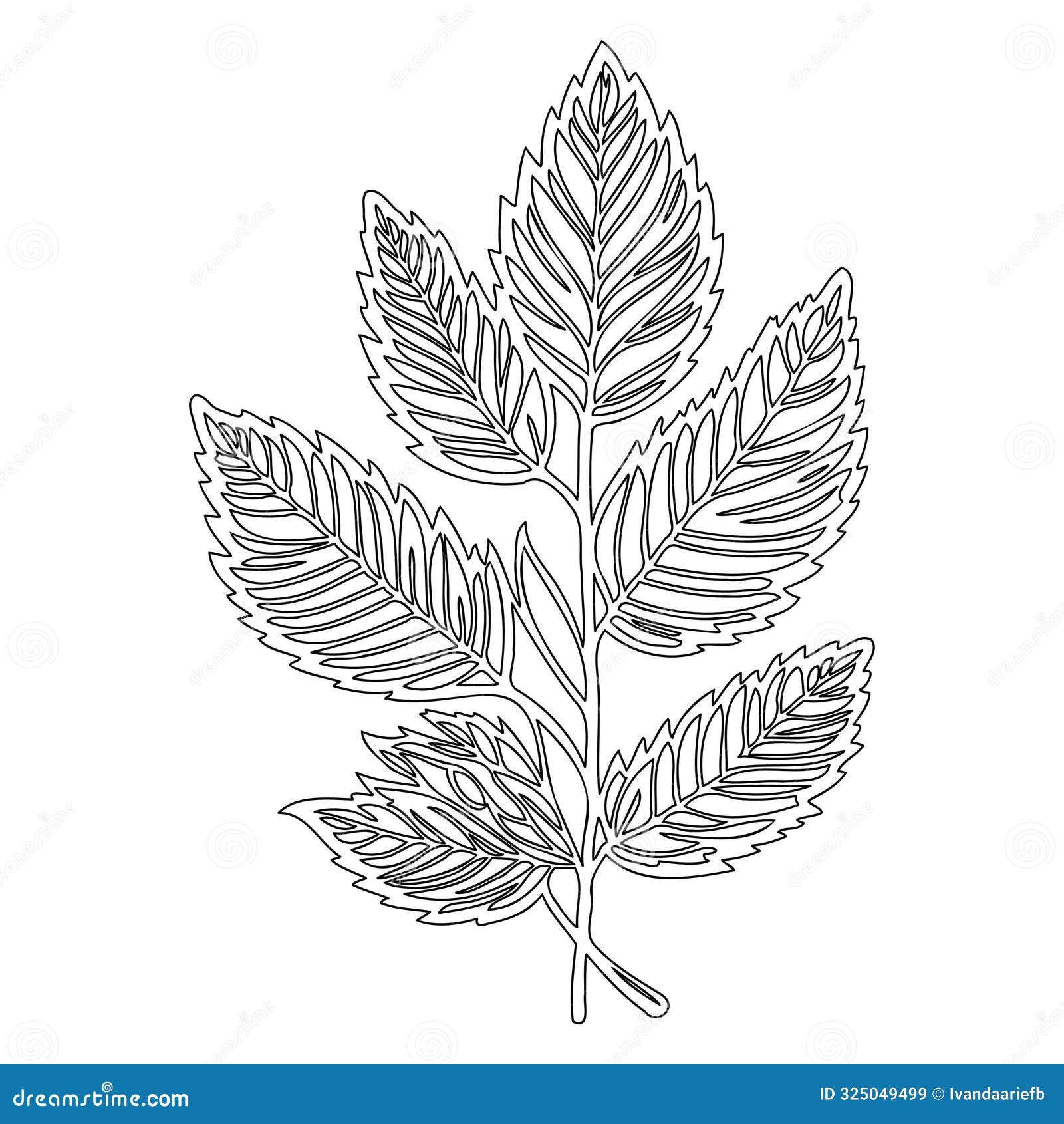 Chestnut Leaf Floral Outline Illustration Sketch Stock Vector ...
